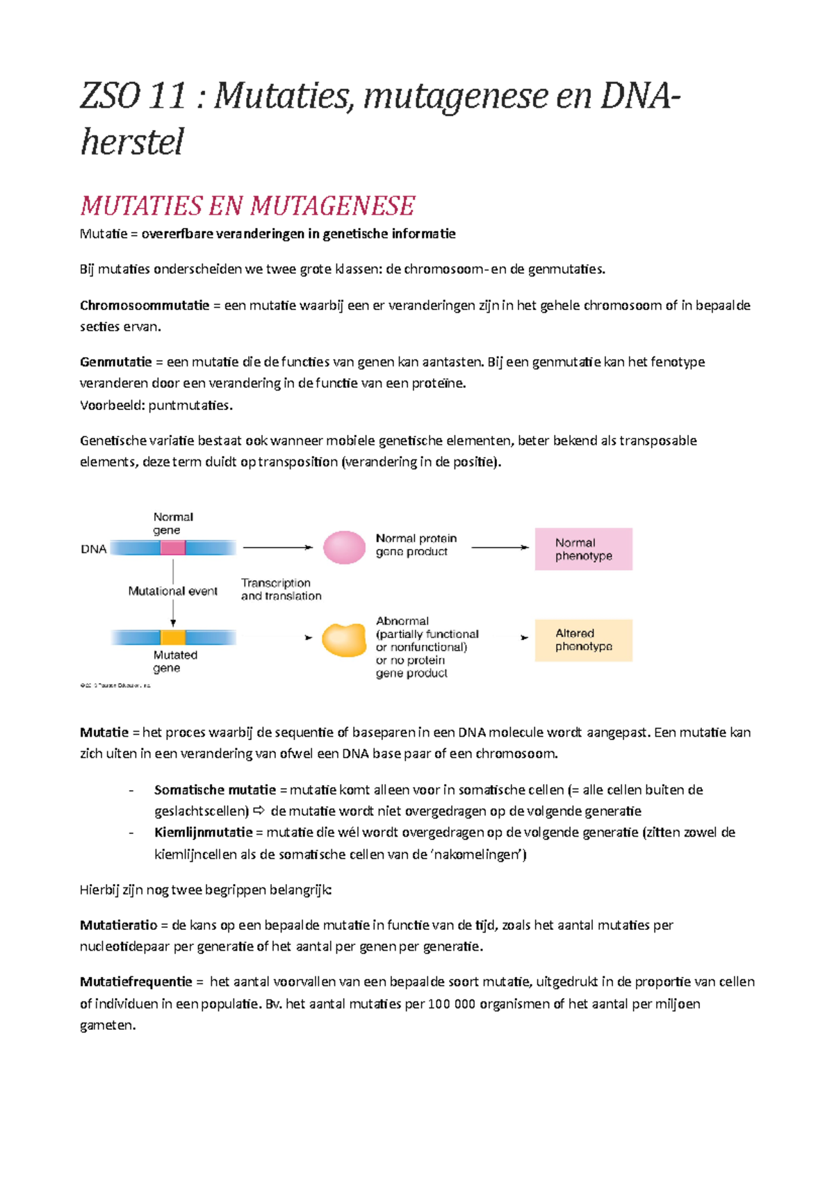 ZSO 11 mutaties, mutagenese en DNA-herstel (automatisch hersteld) - ZSO ...