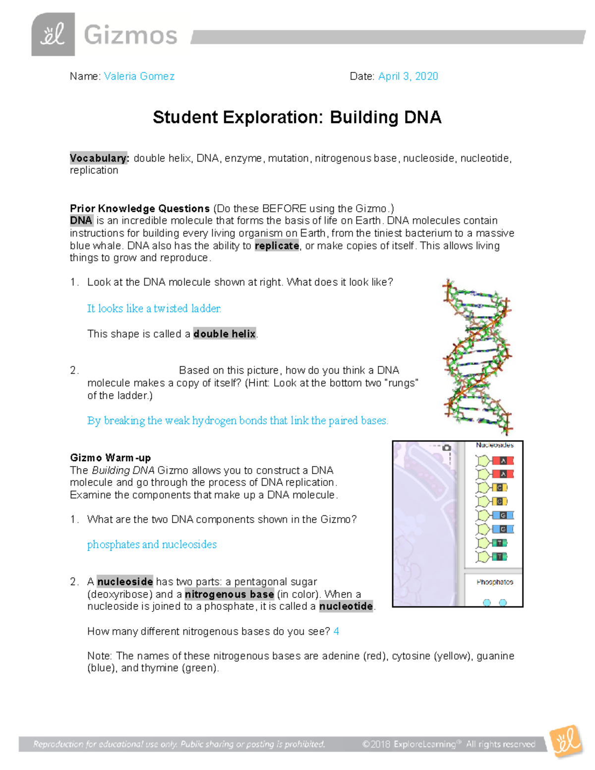 Building DNA Gizmo - notes - Name: Valeria Gomez Date: April 3, 2020 ...
