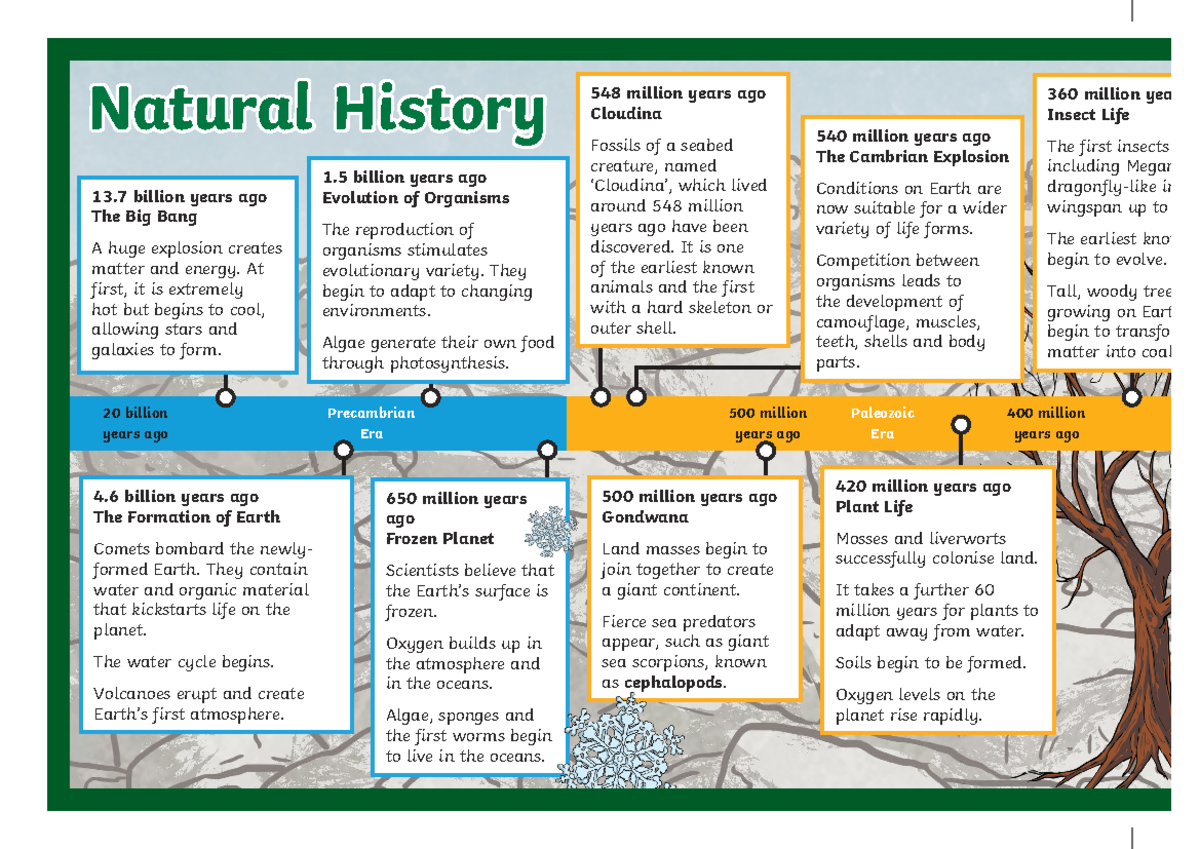 T2-h-6017-natural-history-timeline-display-poster ver 3 - 20 billion ...