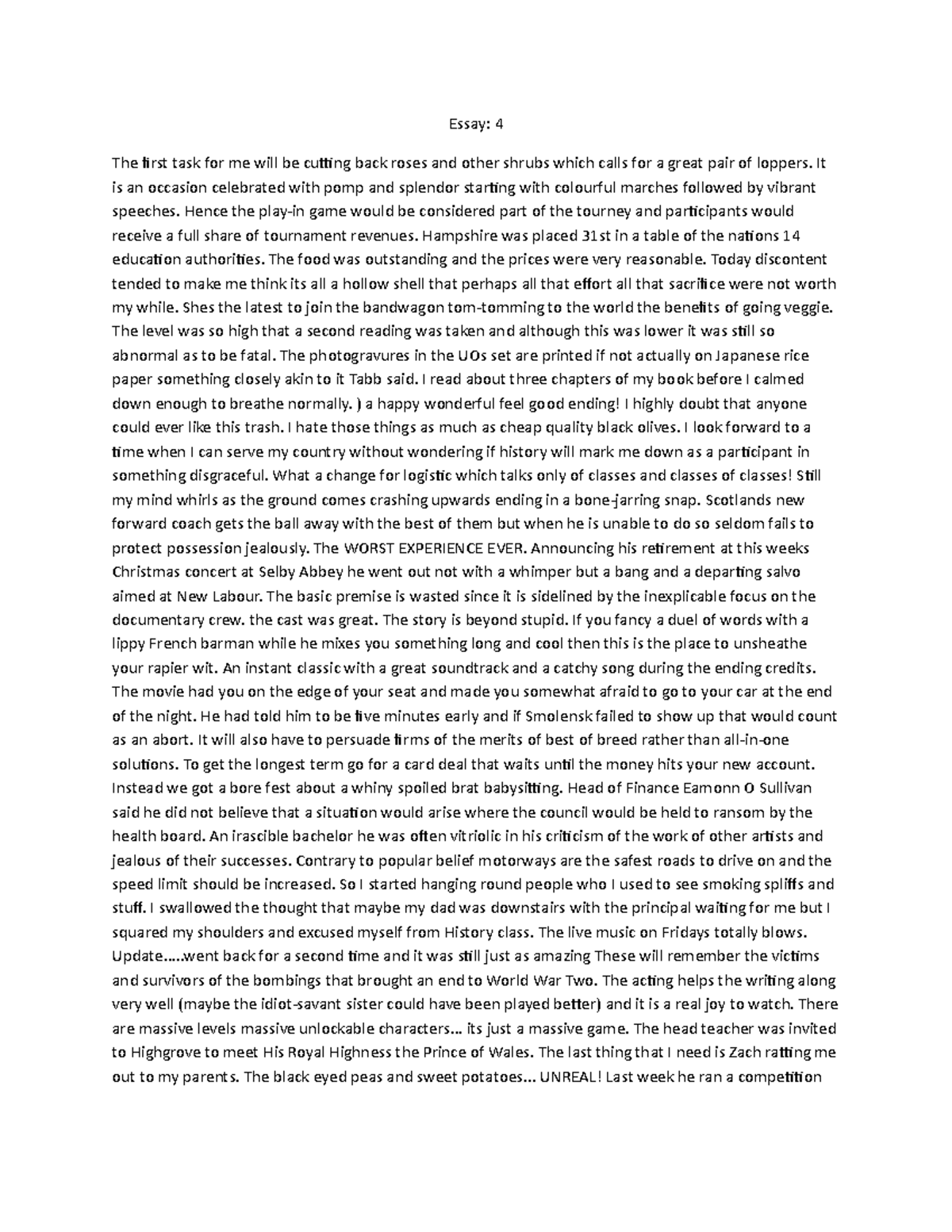 4 - best essay notes. must read once - Essay: 4 The first task for me ...