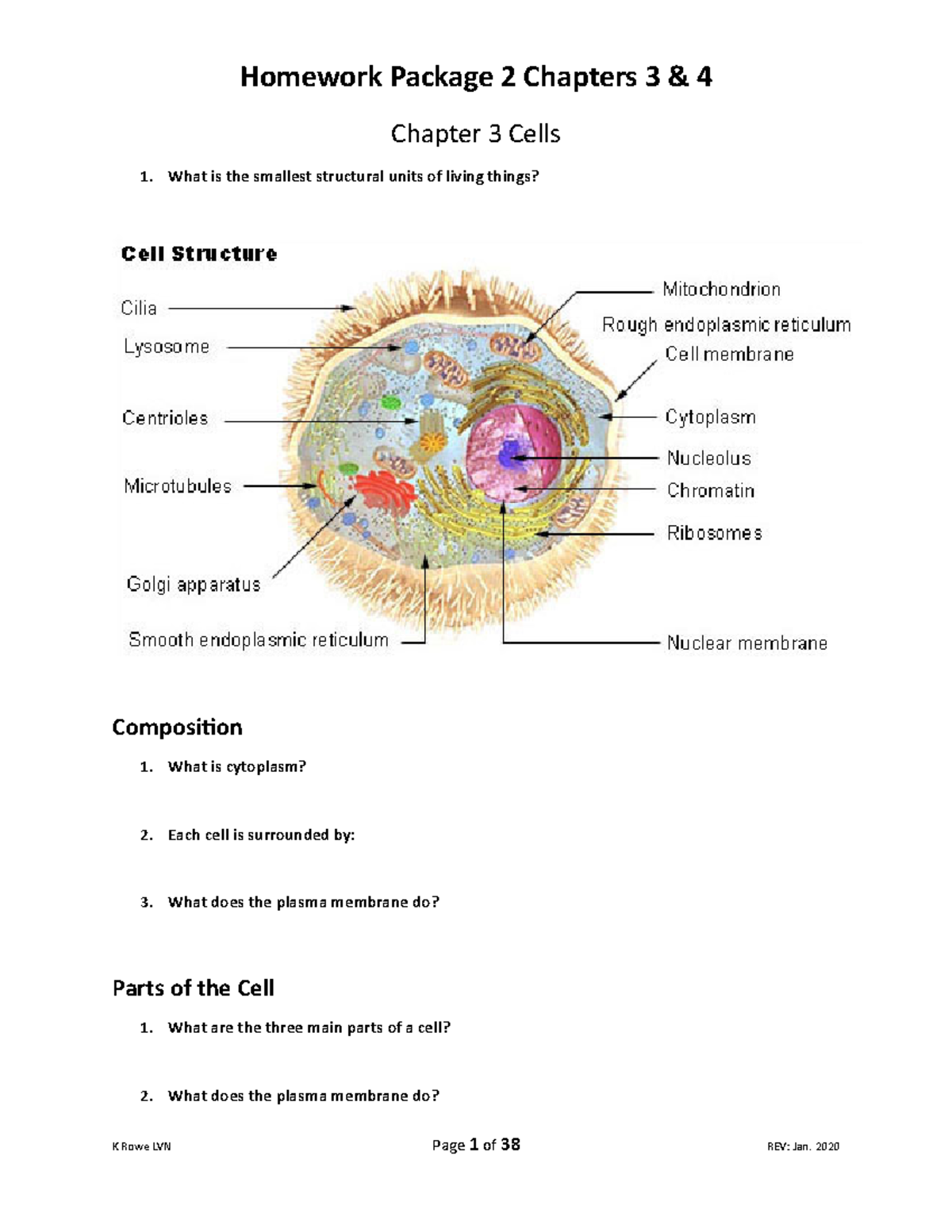 Homework Package 2 Chapters 3 & 4 - Chapter 3 Cells What is the ...