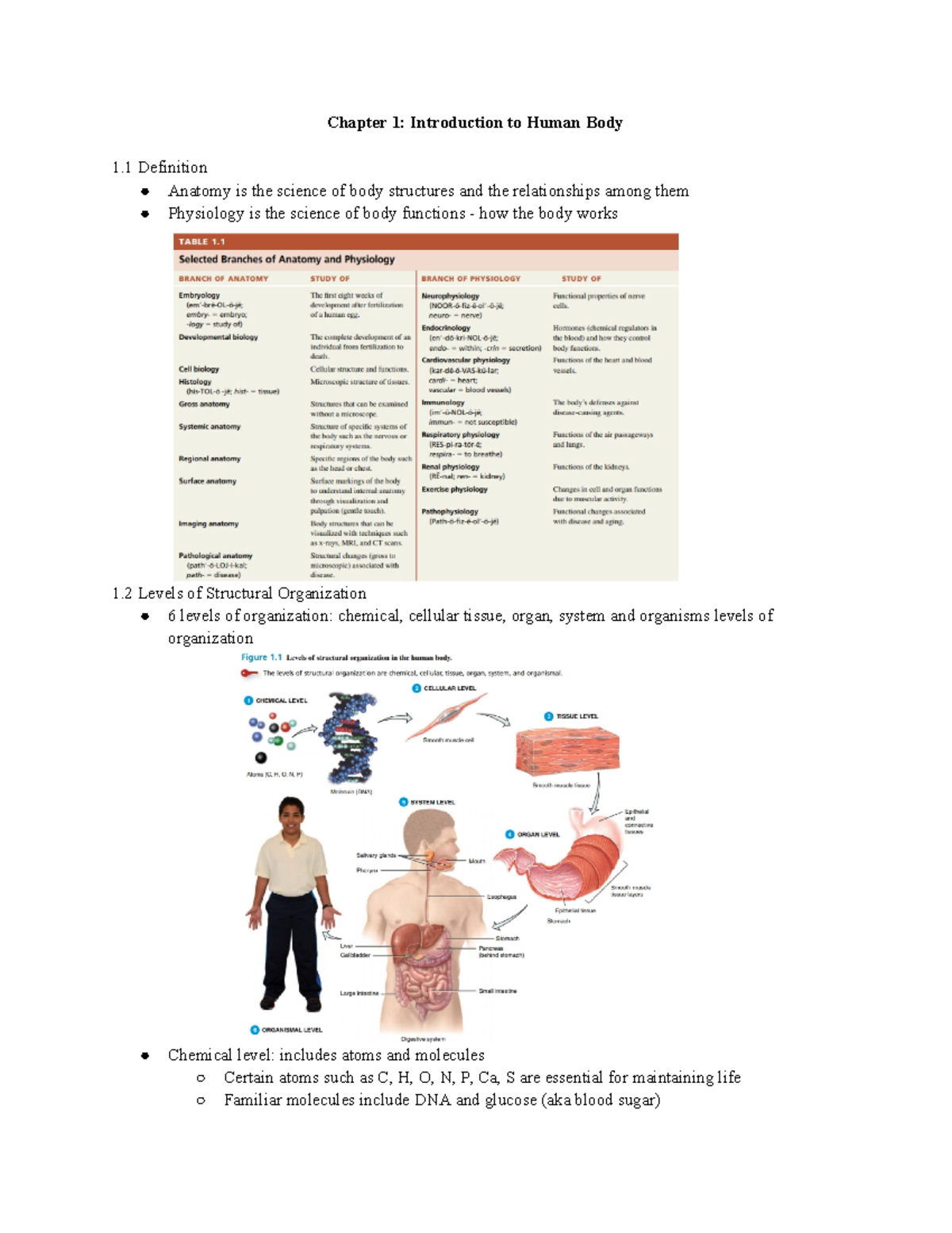 Chapter 1: Intro - Chapter 1: Introduction to Human Body 1 Definition ...