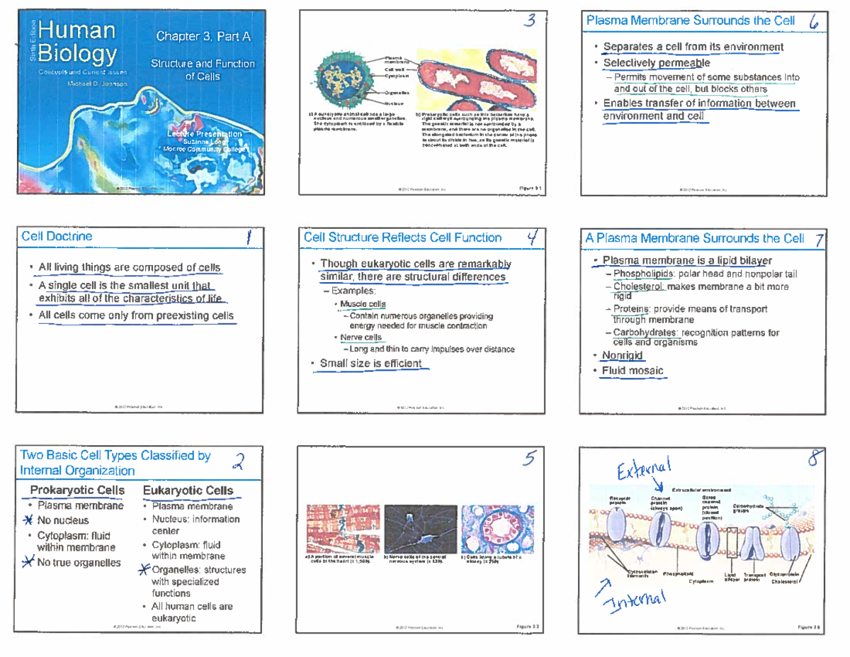 Chapter 2 notes - BIOL 101 - Studocu