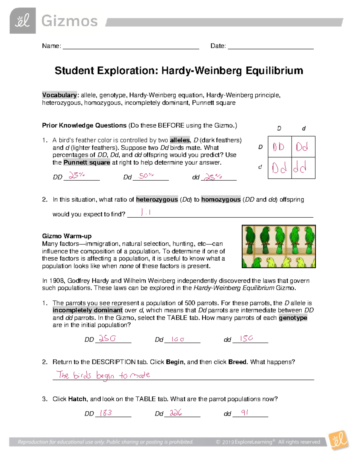 Kami Export - Megan Paciotti - Hardy Weinberg Gizmo - Name