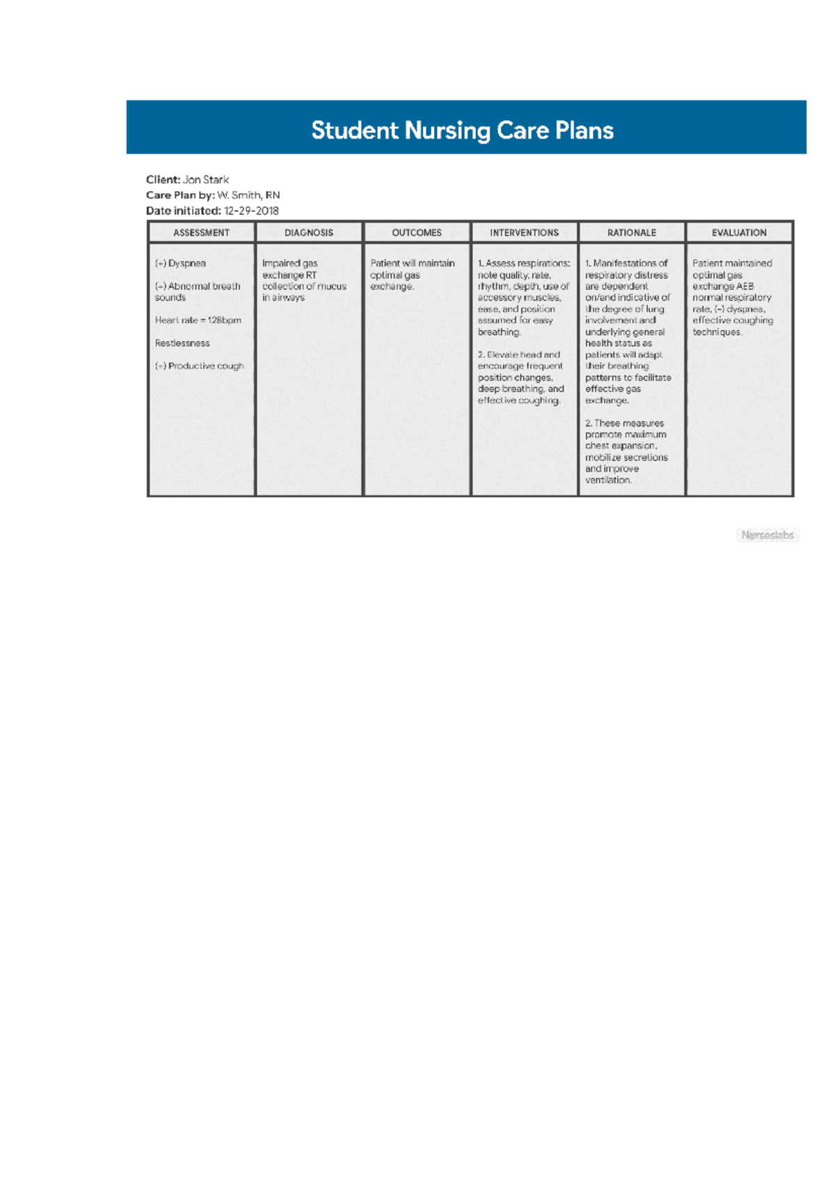Sample nursing care plan for everyone - Environmental Science - Studocu