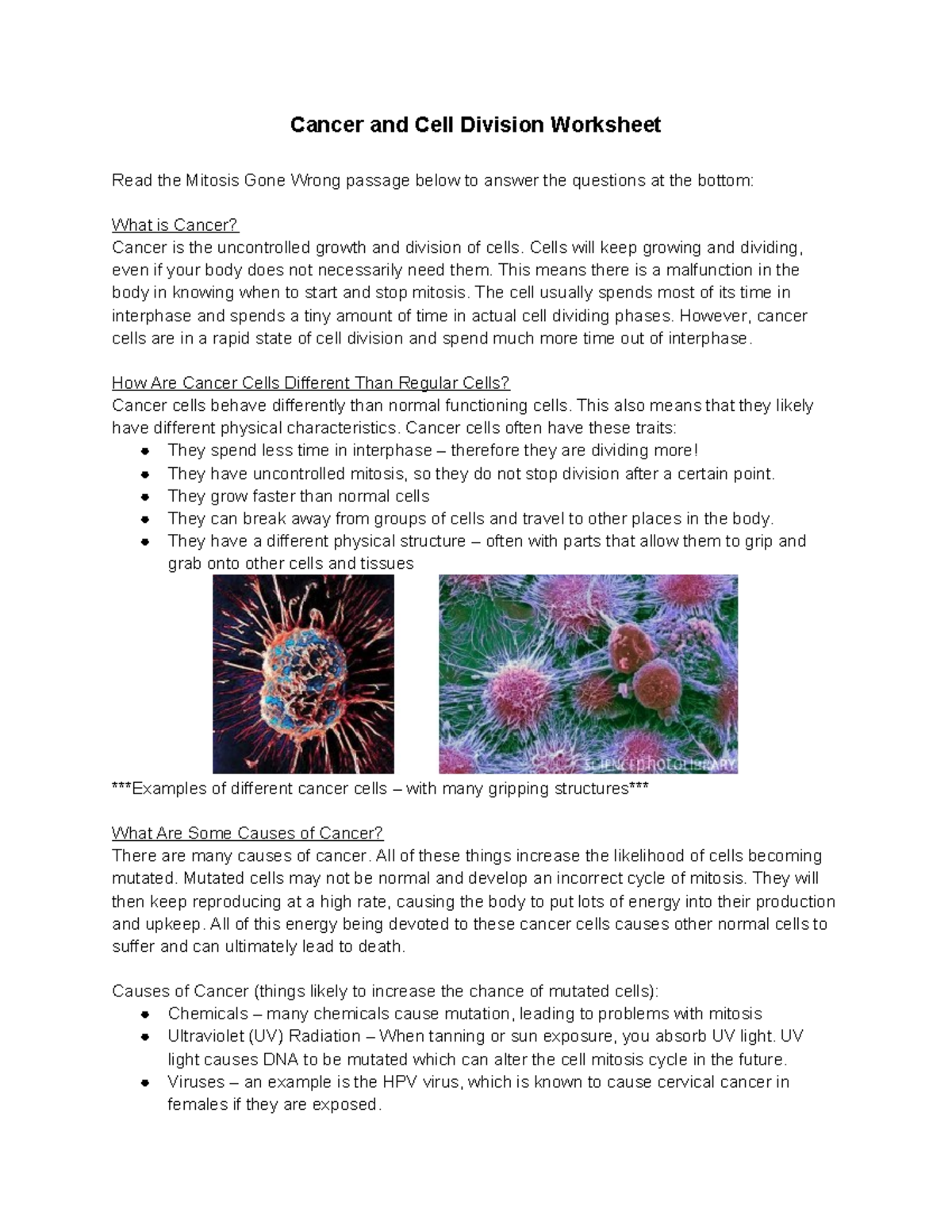 Navid Khosru - Cancer and Cell Division Worksheet - Cancer and Cell ...