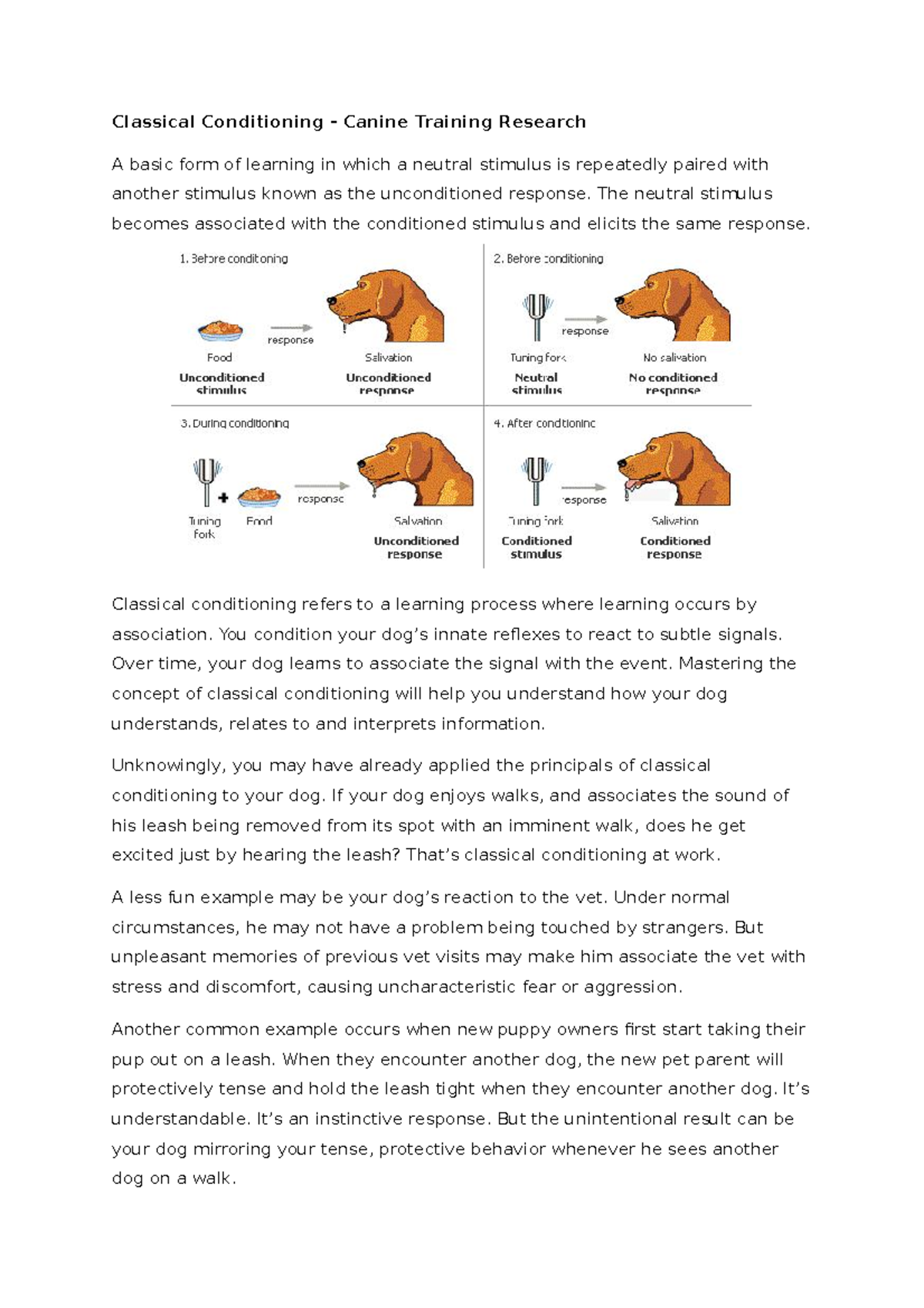 Classical Conditioning - The neutral stimulus becomes associated with ...