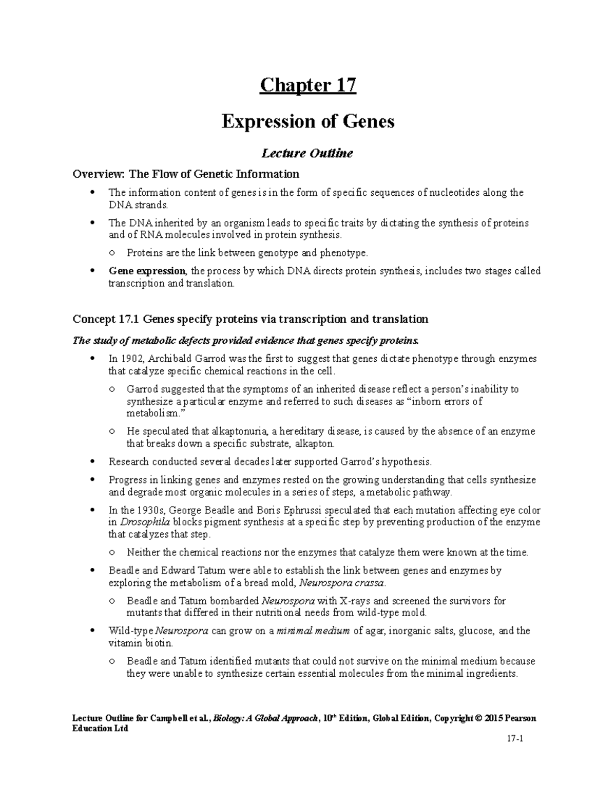 Transcription and translation - Chapter 17 Expression of Genes Lecture ...