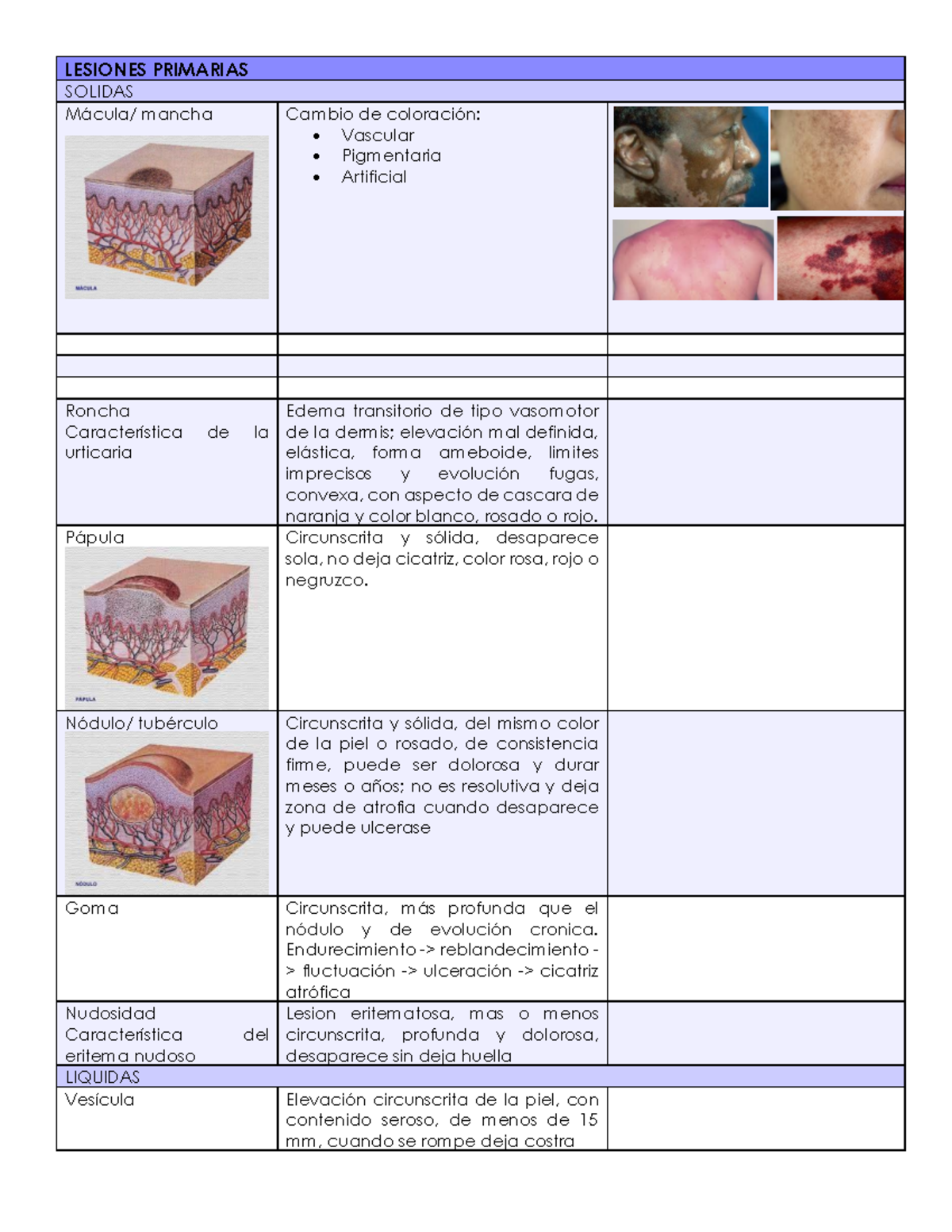 Lesiones Elementales Dermatologia - LESIONES PRIMARIAS SOLIDAS Mácula ...