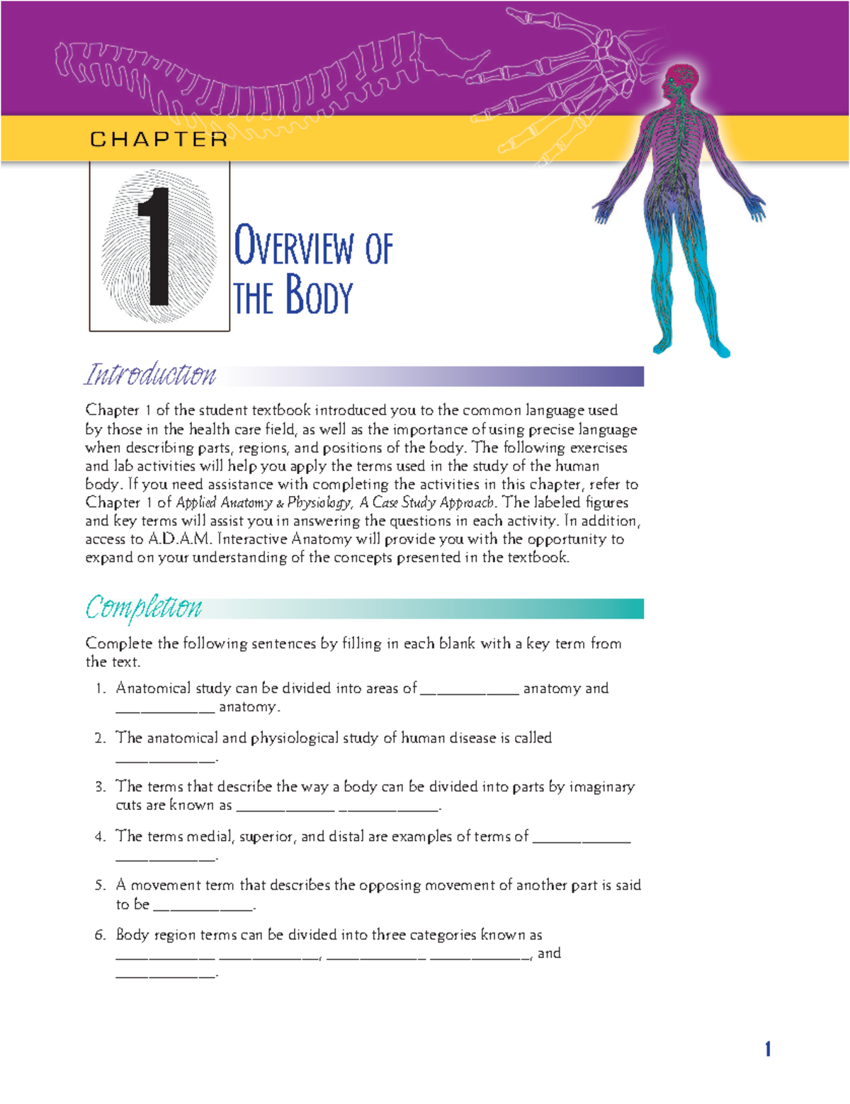 Overview of the Body WS - these are the guided notes for the intro of ...