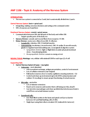 A&P II Study Guide - Digestive, Urinary, & Reproductive Systems - Rowan ...