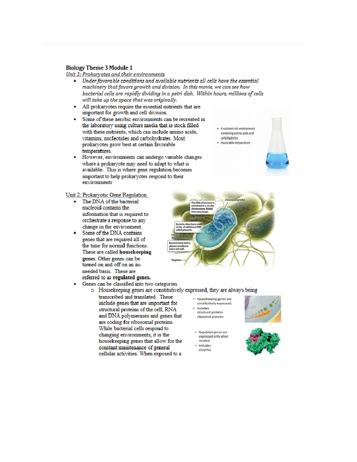 Theme 3 Module 1 Notes- Modulating Transcription - Bio 1A03 - Studocu