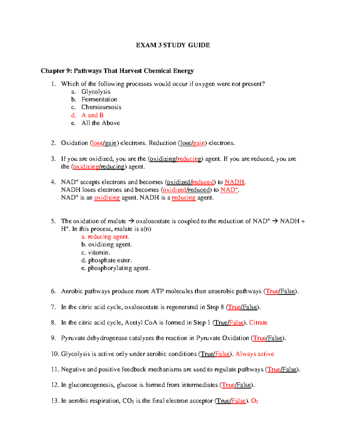 Exam 3 Study Guide Answers - EXAM 3 STUDY GUIDE Chapter 9: Pathways ...