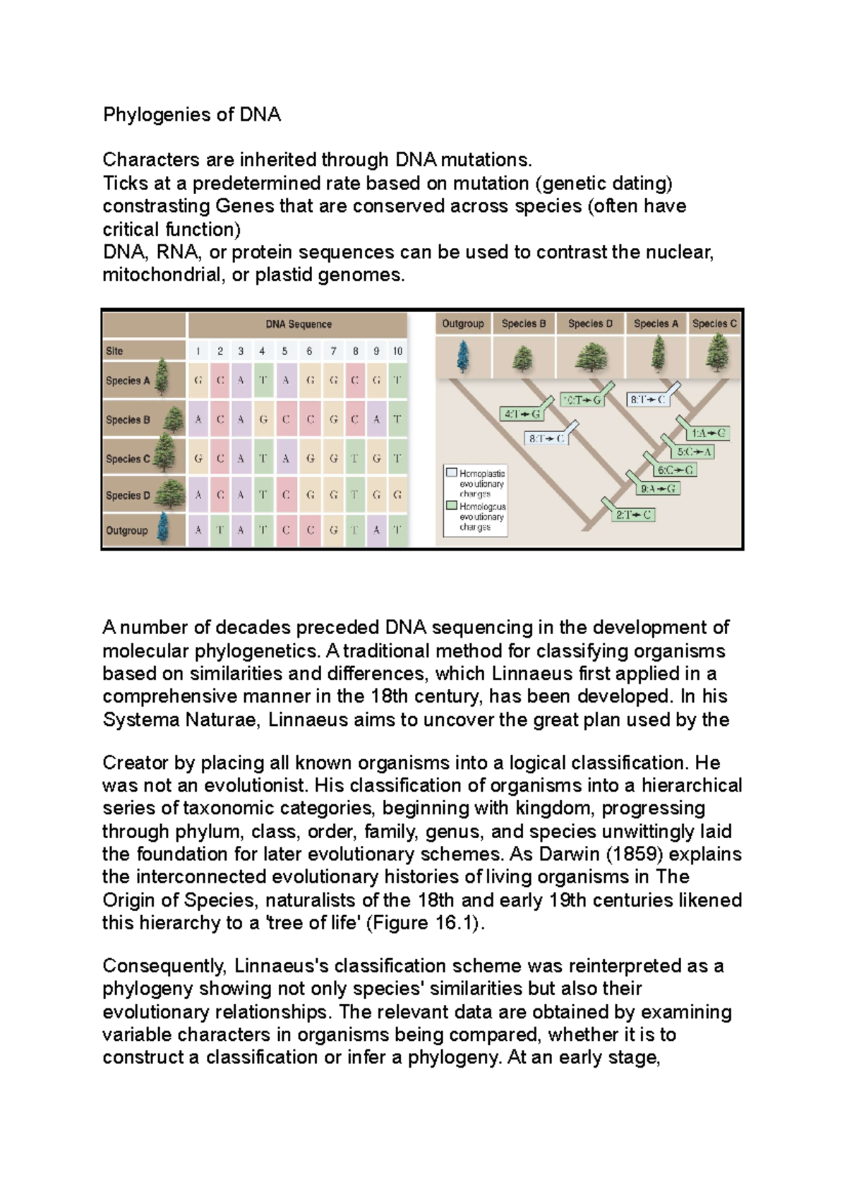 Phylogenies of DNA - WEEK 3 SUMMARY - Phylogenies of DNA Characters are ...