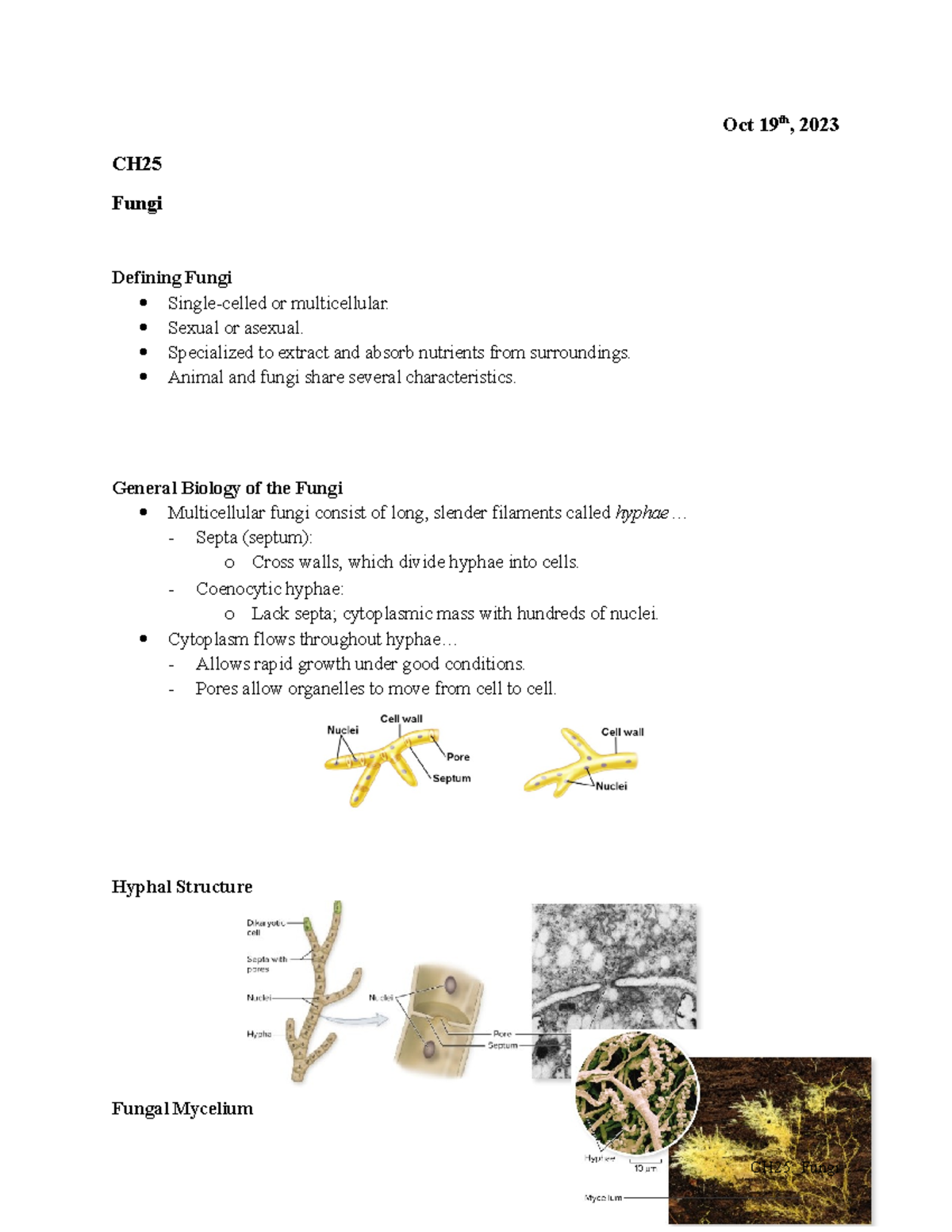 Understanding Biology 3e Ken Mason CH25 - Oct 19th, 2023 CH Fungi ...