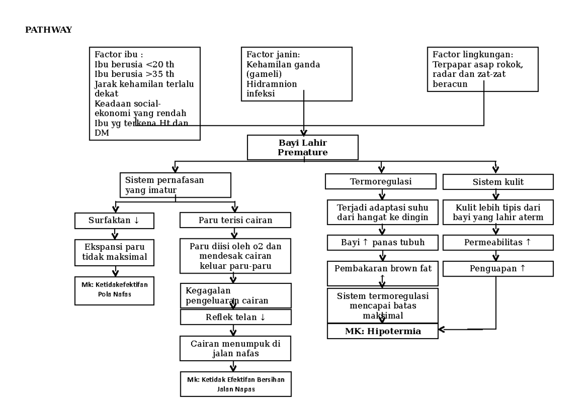 377152498 354210566 Pathway Prematur doc - PATHWAY Bayi Lahir Premature Sistem pernafasan yang ...