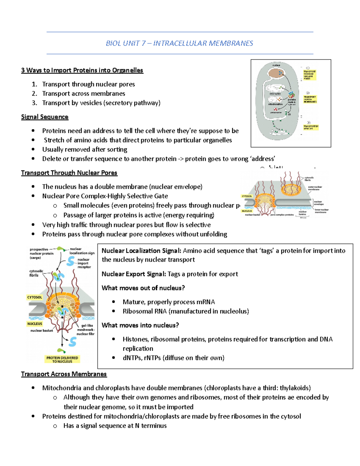 Bio Unit 7 - Lecture notes 7 - BIOL UNIT 7 – INTRACELLULAR MEMBRANES 3 ...