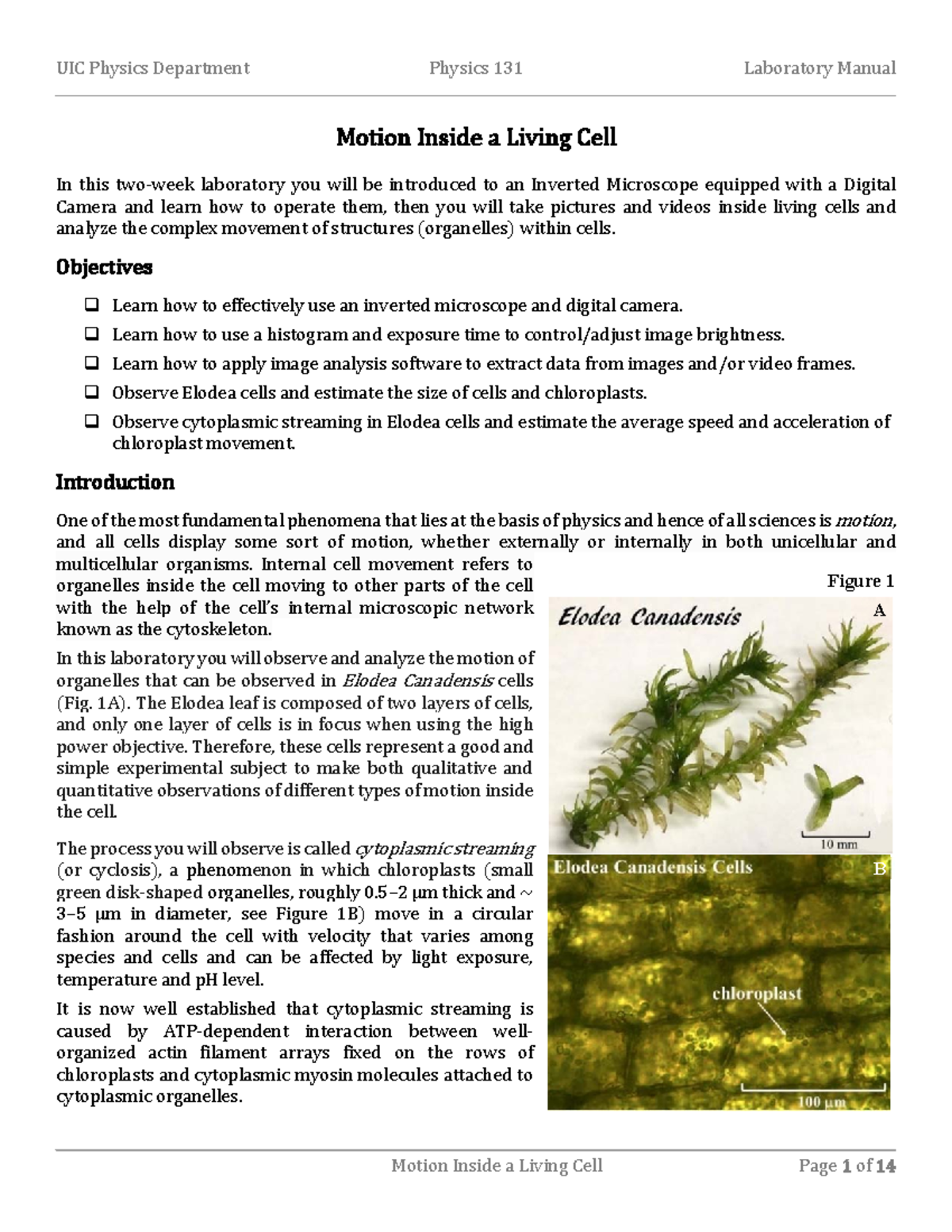 P131L02 Lab Manual v20230611 - Motion Inside a Living Cell In this two ...