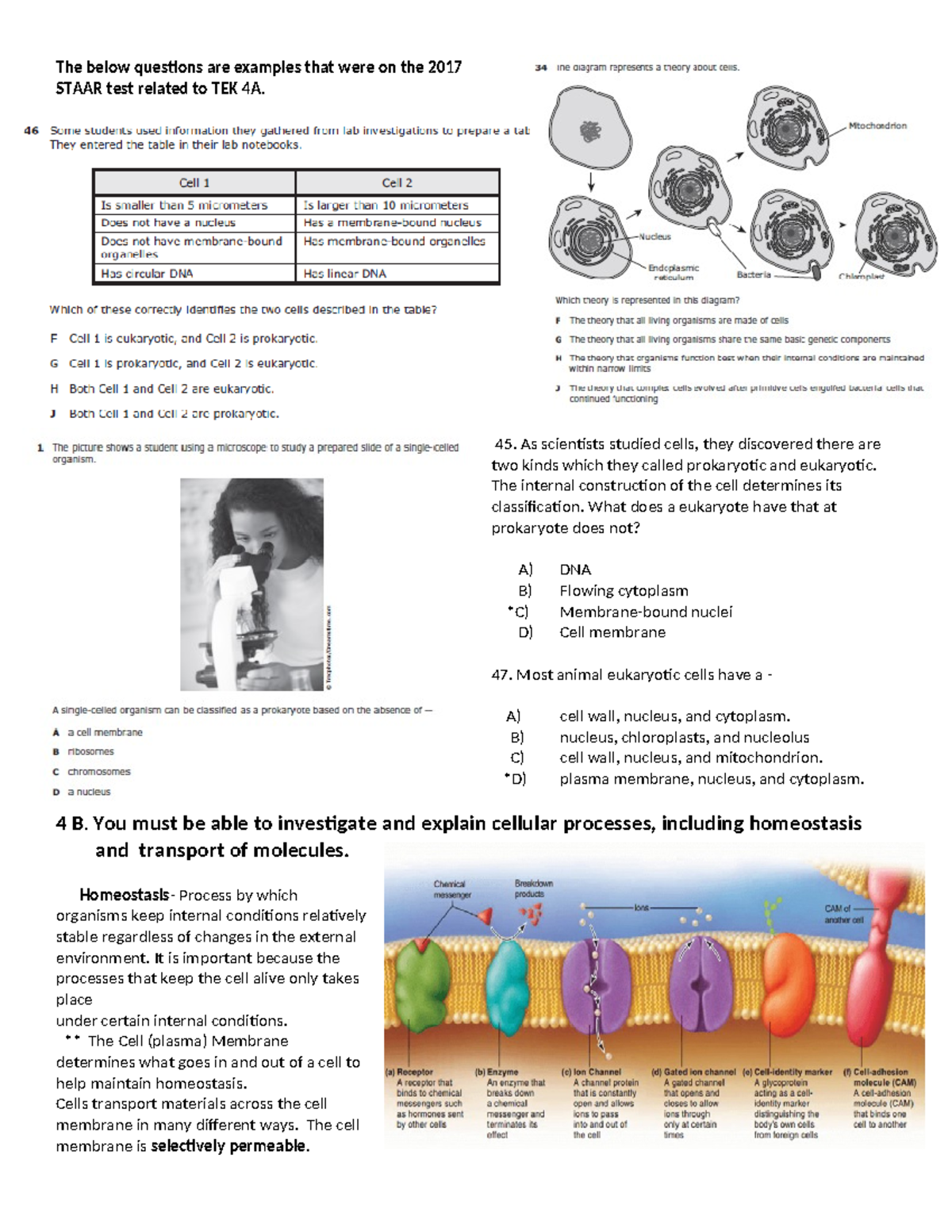 Texas Biology Staarreview Packetwith Examplesand Practice Questions-1 ...