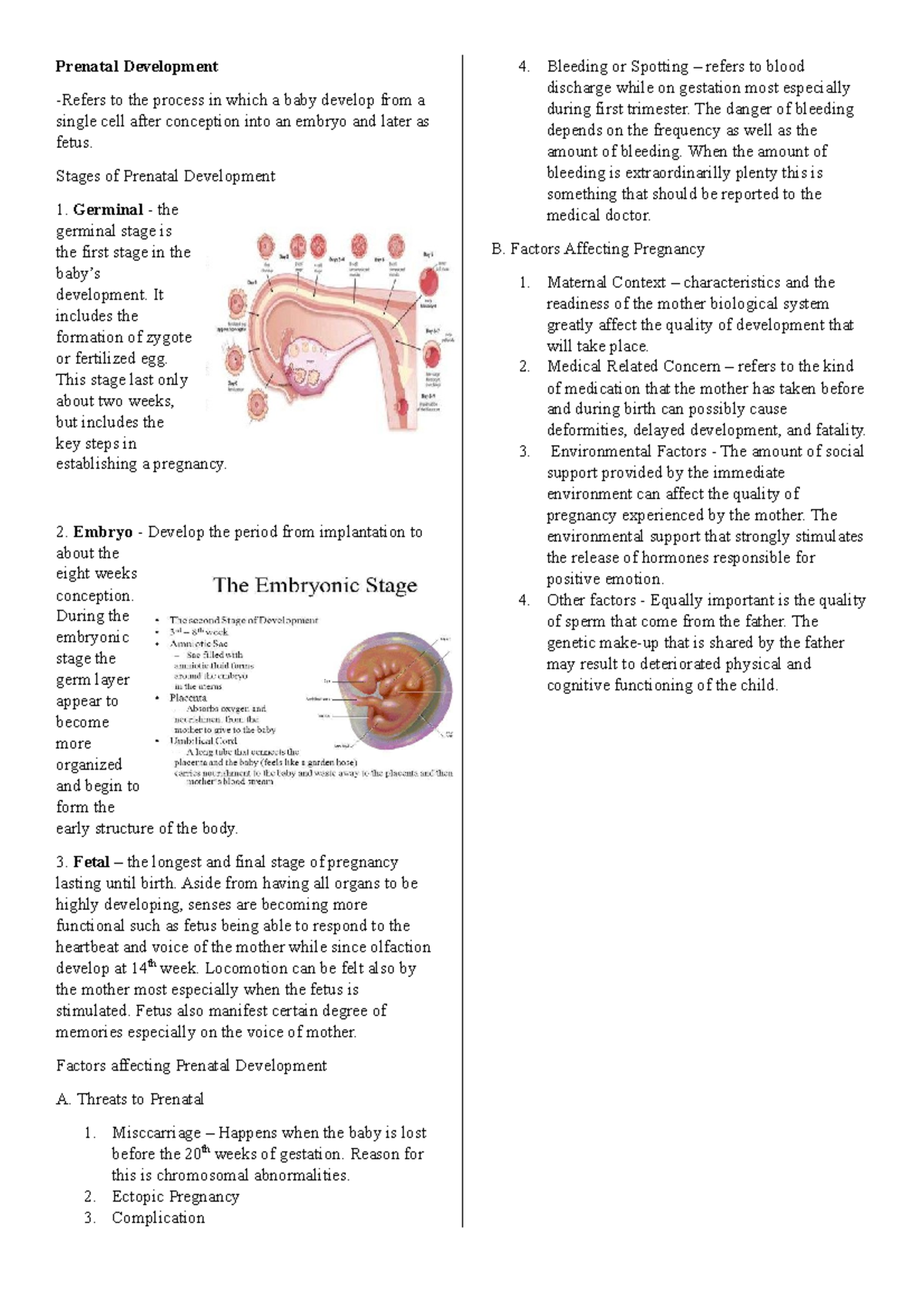 Prenatal-Development-Fact Sheets - Prenatal Development -Refers to the ...