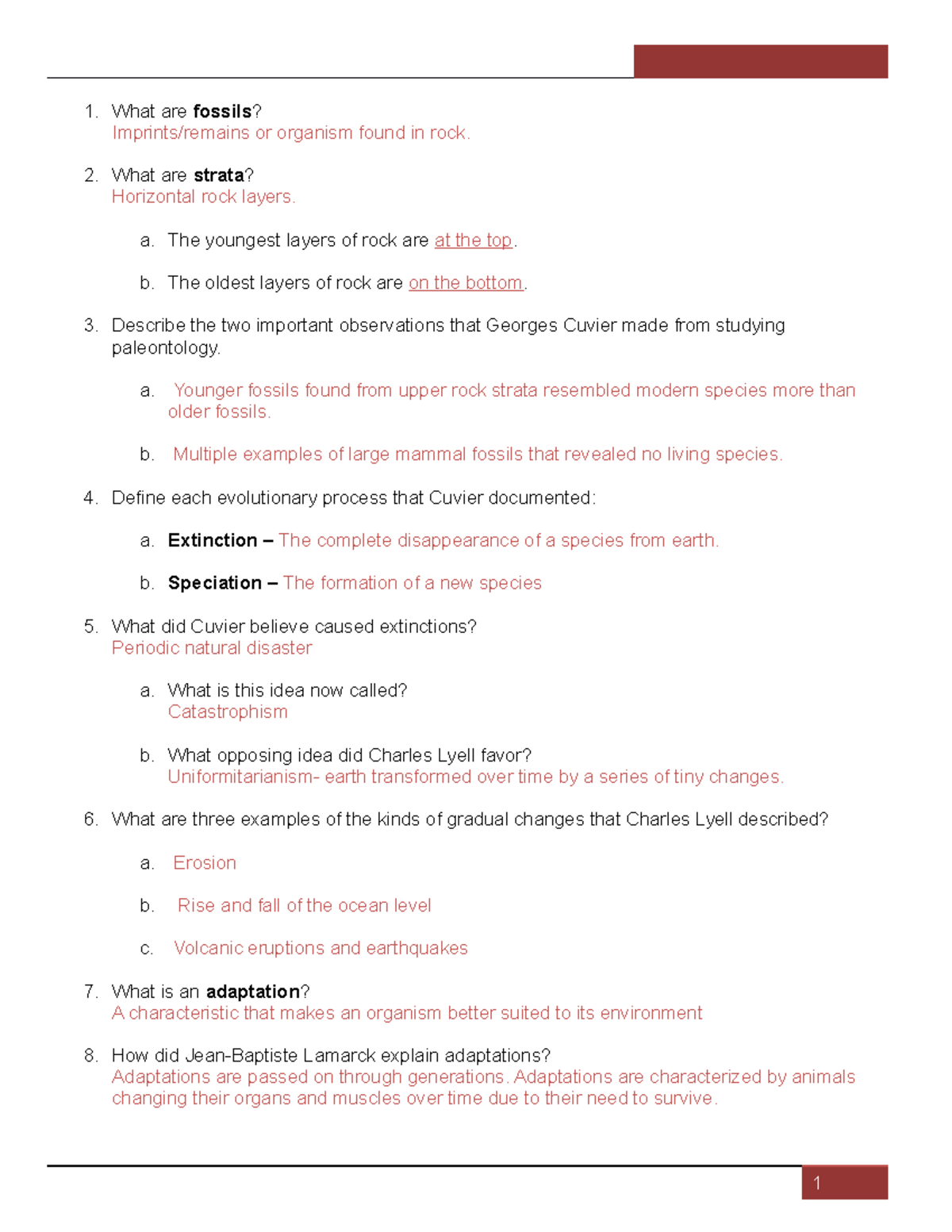 Evolution Notes Outline-2 - What are fossils? Imprints/remains or ...