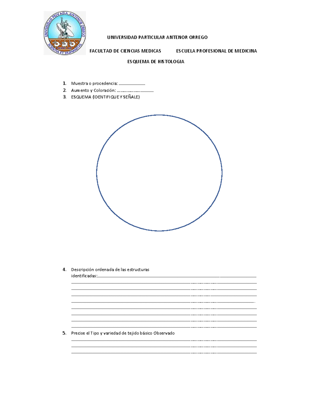 Formato Esquema PARA Dibujo - UNIVERSIDAD PARTICULAR ANTENOR ORREGO ...