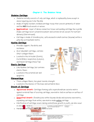 Chapter 8 The Digestive System - Medical Terminology Notes Chapter 8 ...