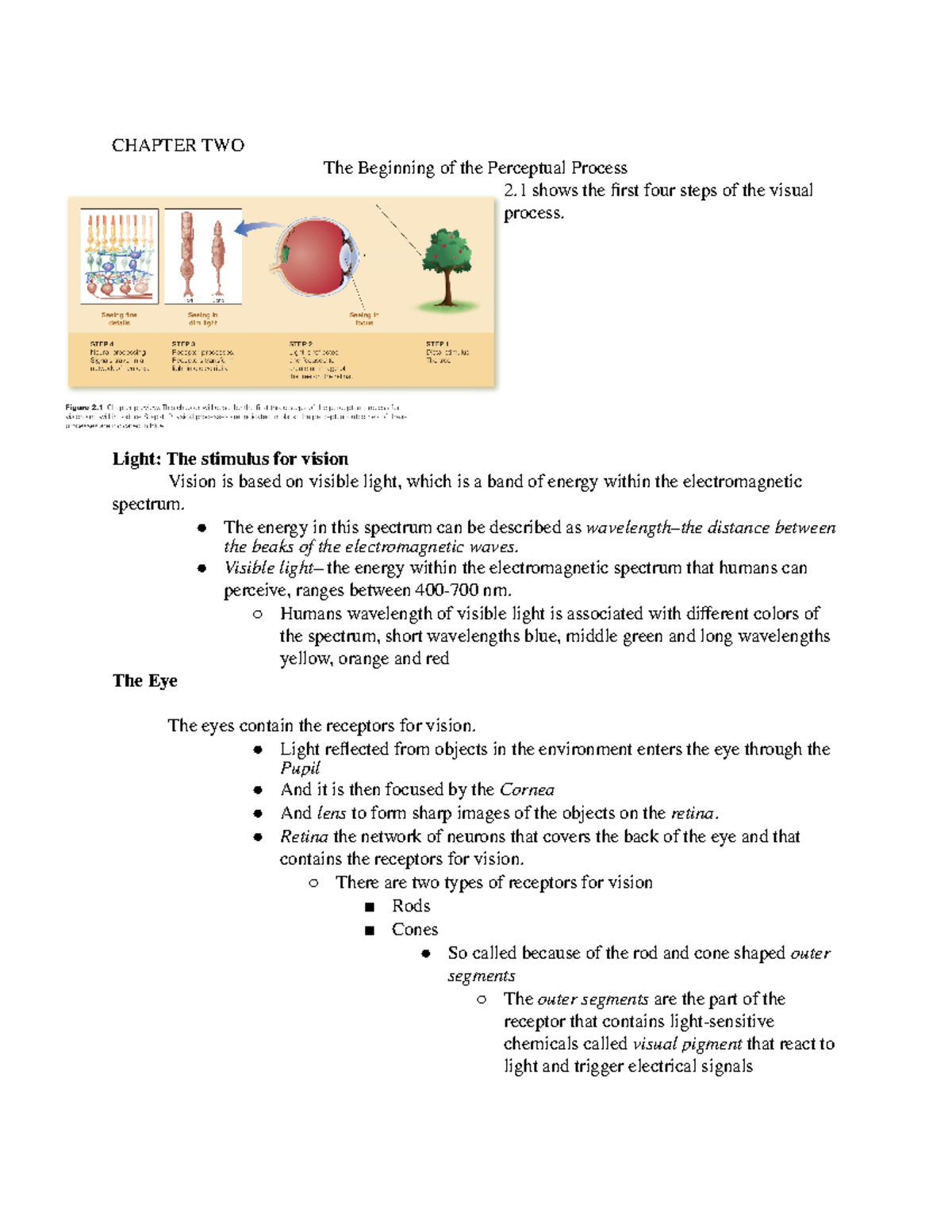 Chapter TWO - CHAPTER TWO The Beginning of the Perceptual Process 2 ...