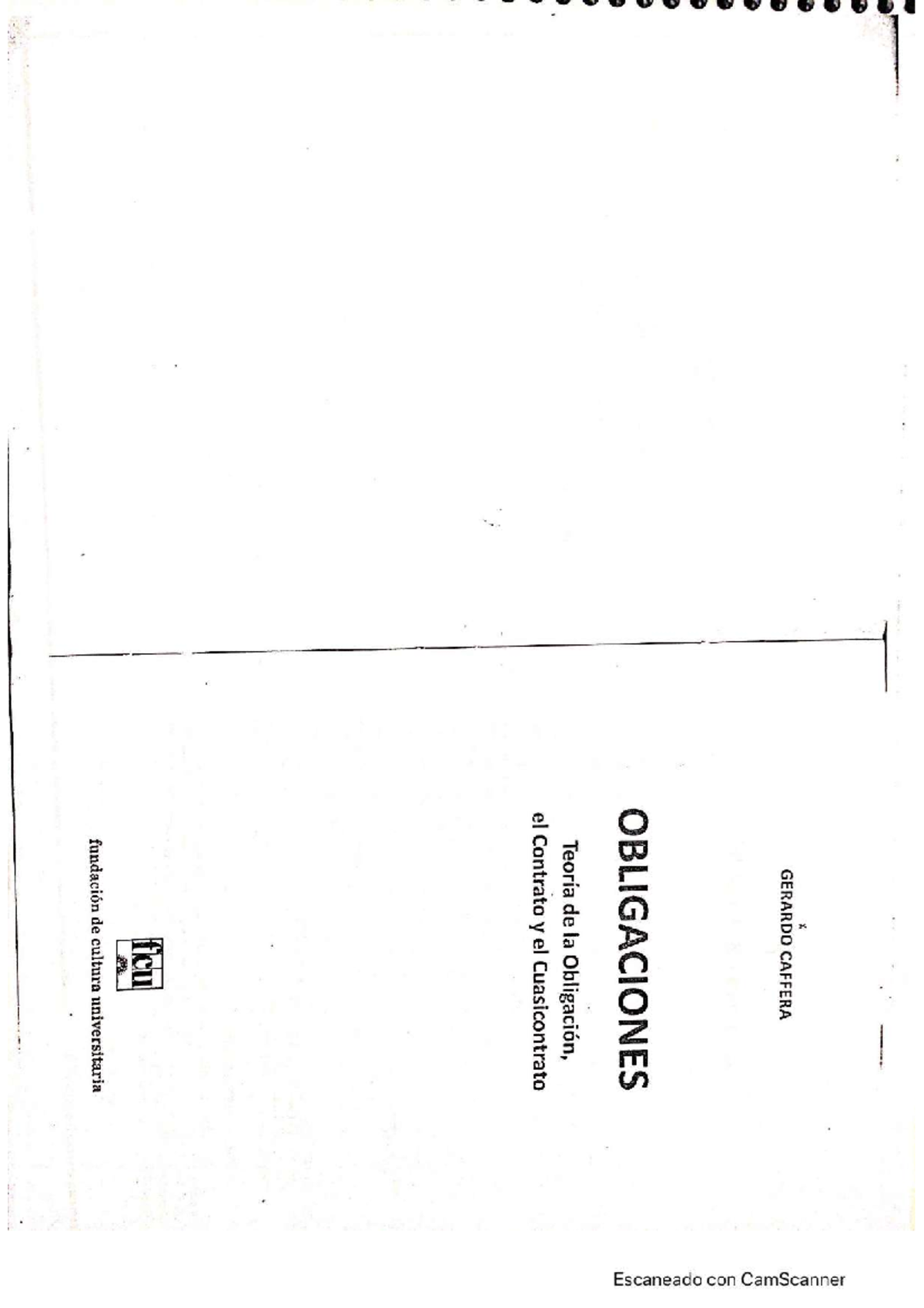 Cafferaobligaciones parte ipag1 a 129 - GERARDO CAFFERA Chocolates con ...