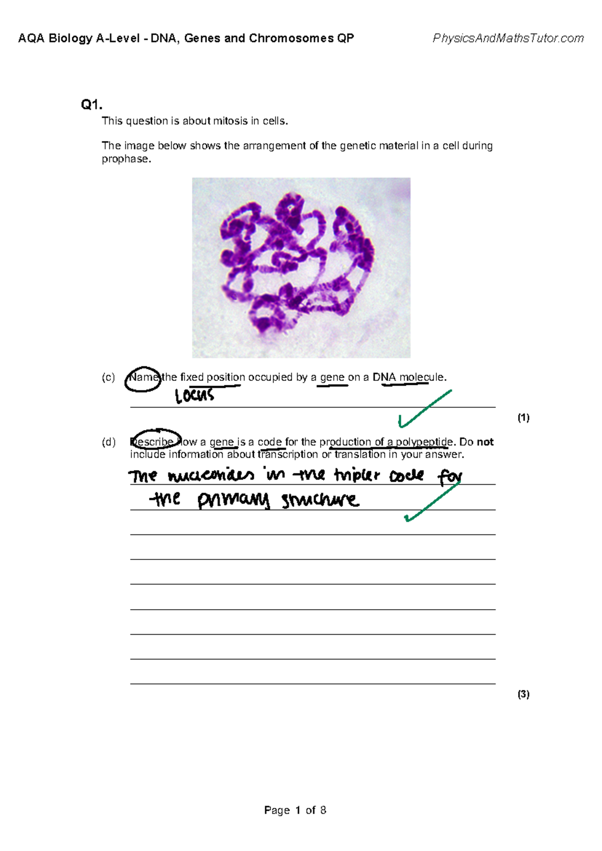 4.1 DNA, Genes and Chromosomes QP - Q1. This question is about mitosis ...