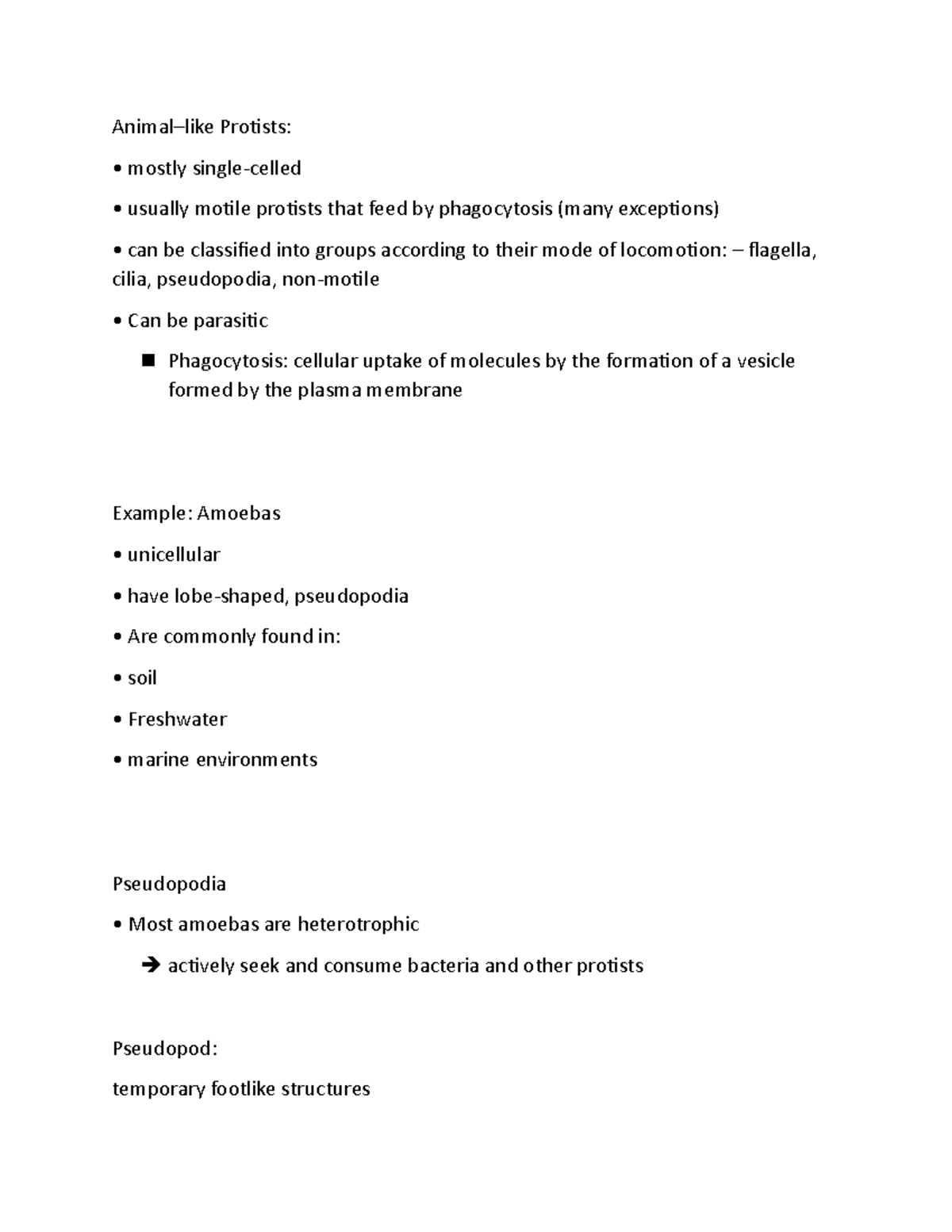 26 - Animal like protists - Animal–like Protists: mostly single-celled ...