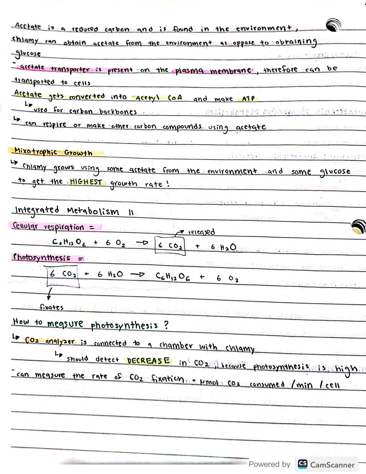 Biology review - summaries + diagrams + descriptions - Biology 1002B ...