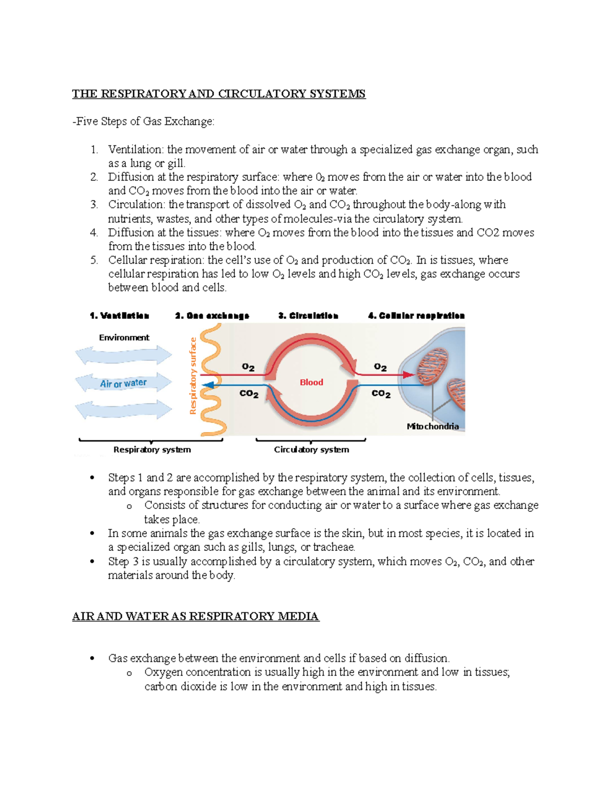 Physiology Chapter 10 Notes - THE RESPIRATORY AND CIRCULATORY SYSTEMS ...