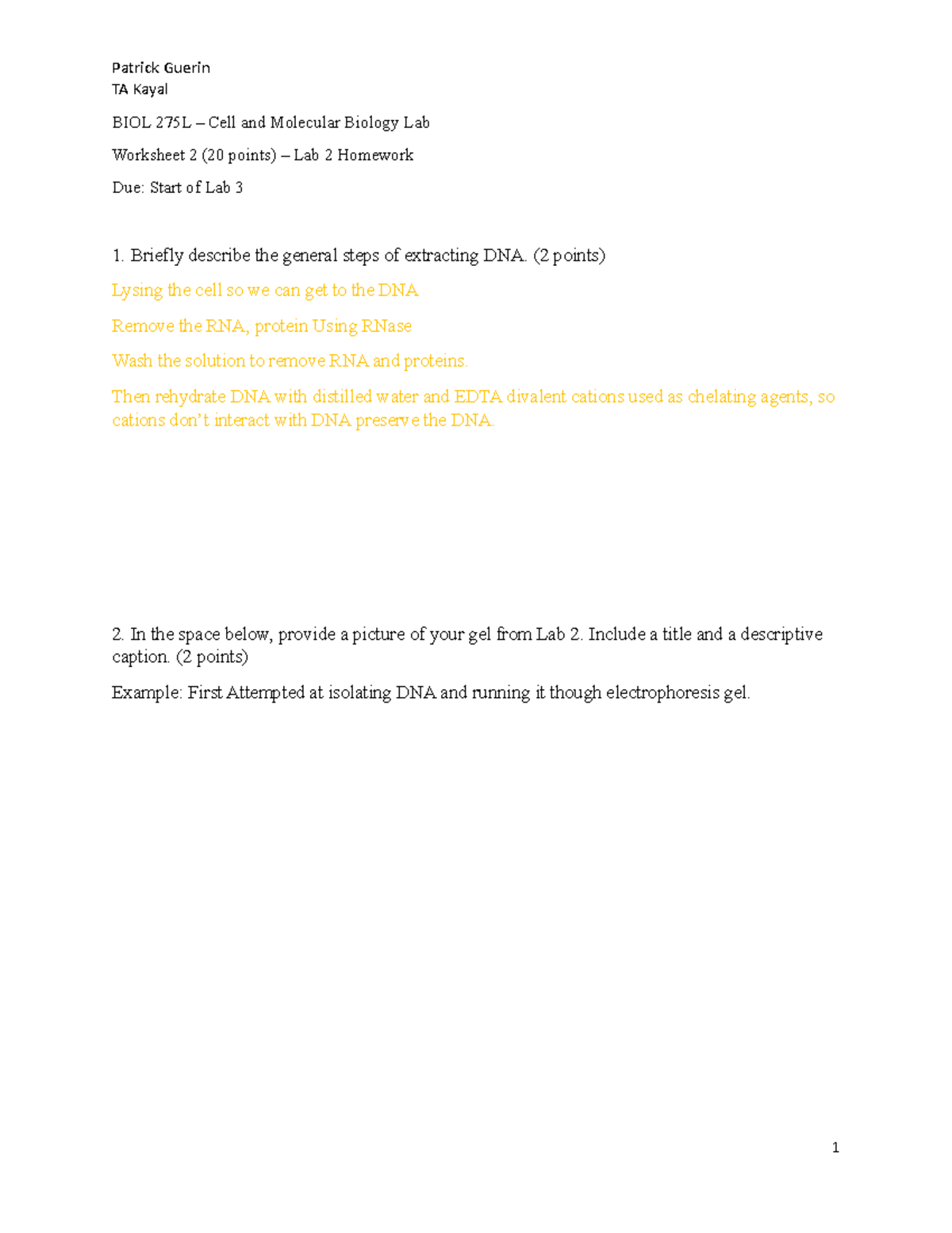 BIOL275L FA23 Worksheet 2 - TA Kayal BIOL 275L – Cell and Molecular ...