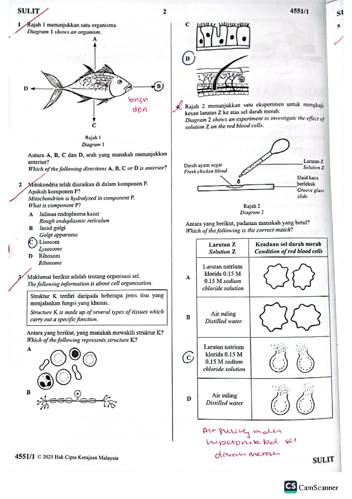 SPM 2021 BIO 2 - exercises - SULIT 2 4551/1 St 1 Rajah I menunjukkan ...