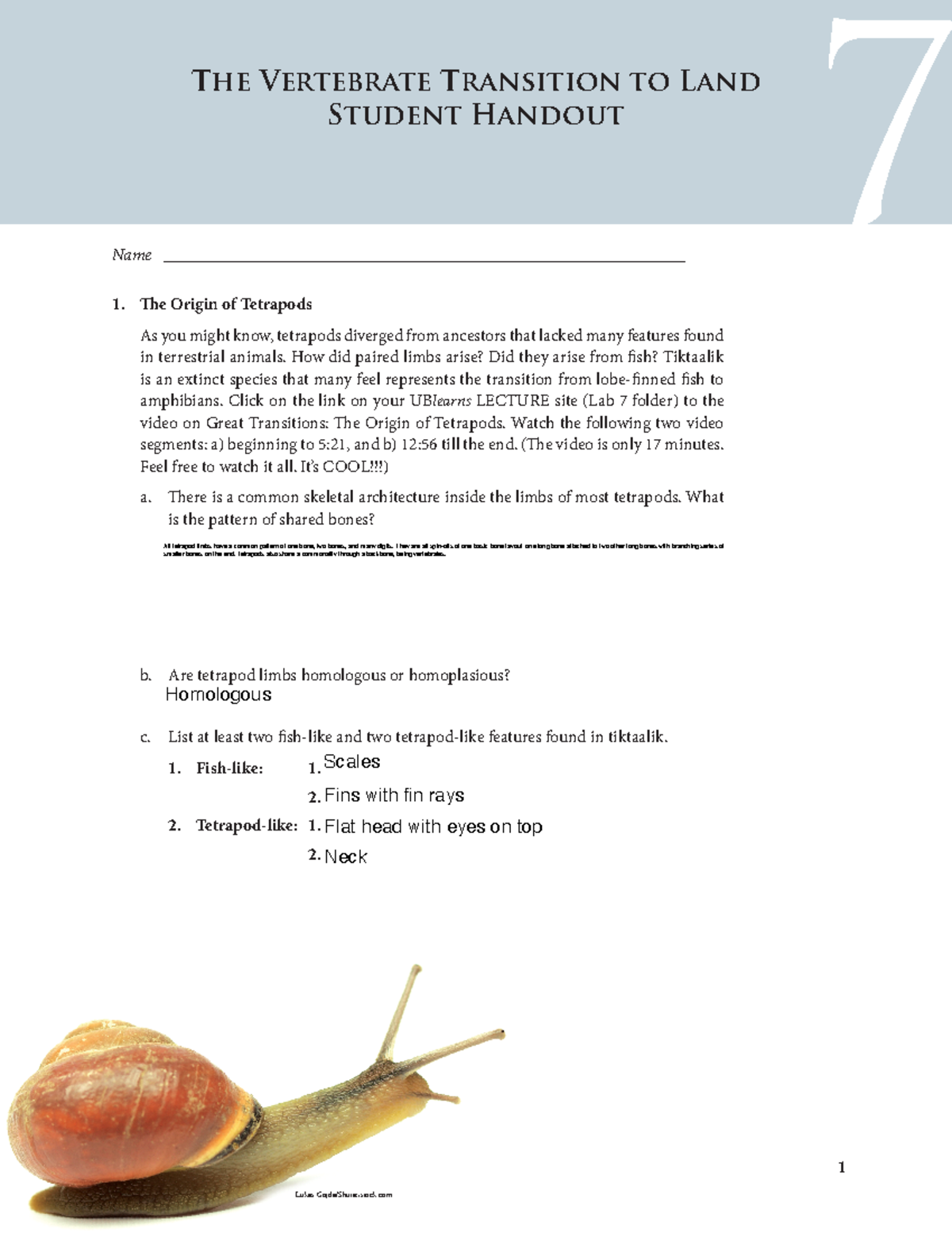 The Vertebrate Transition To Land Blank(1) - 1 7 Lukas Gojda ...