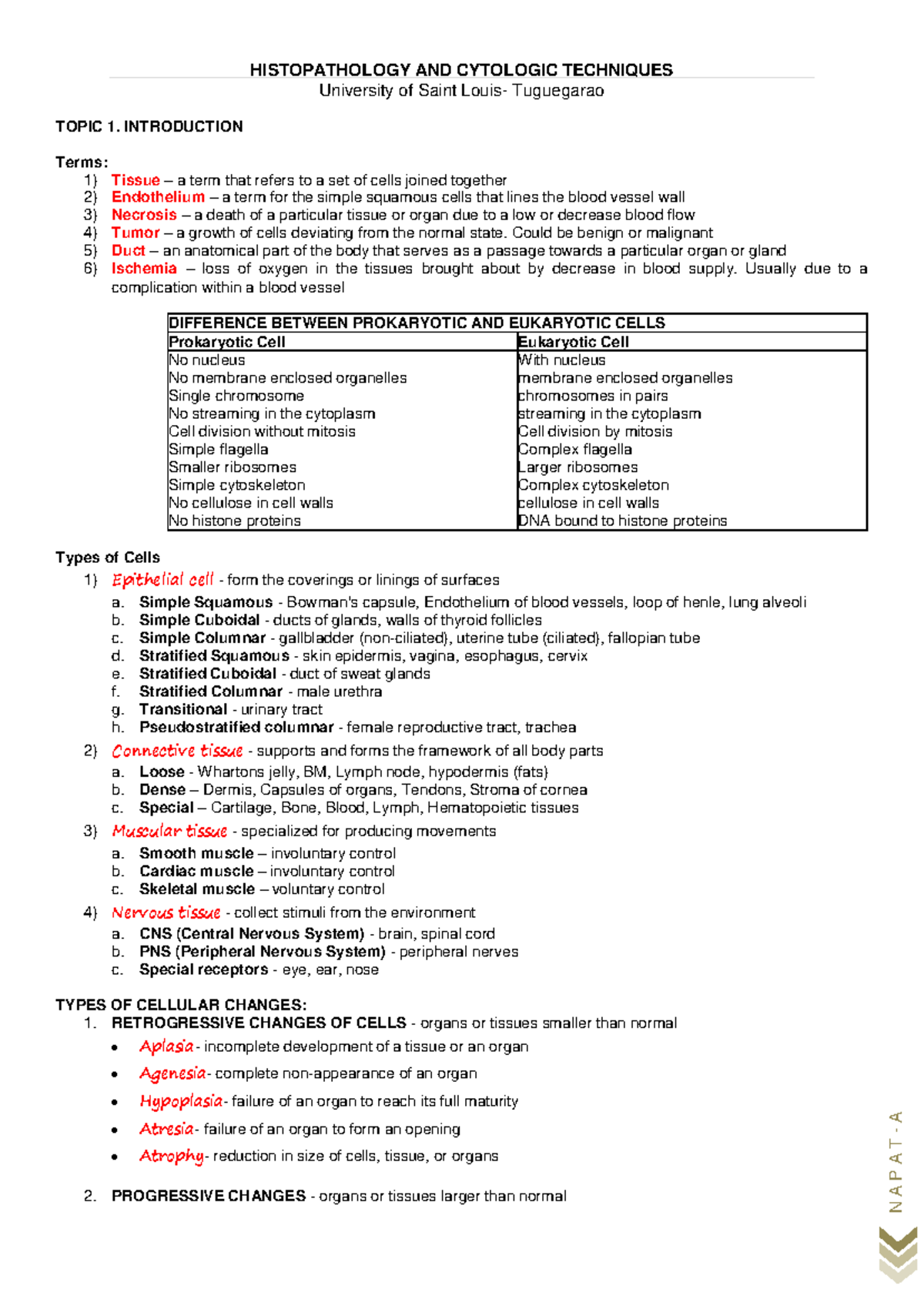Histopathology AND Cytologic Techniques - A HISTOPATHOLOGY AND ...