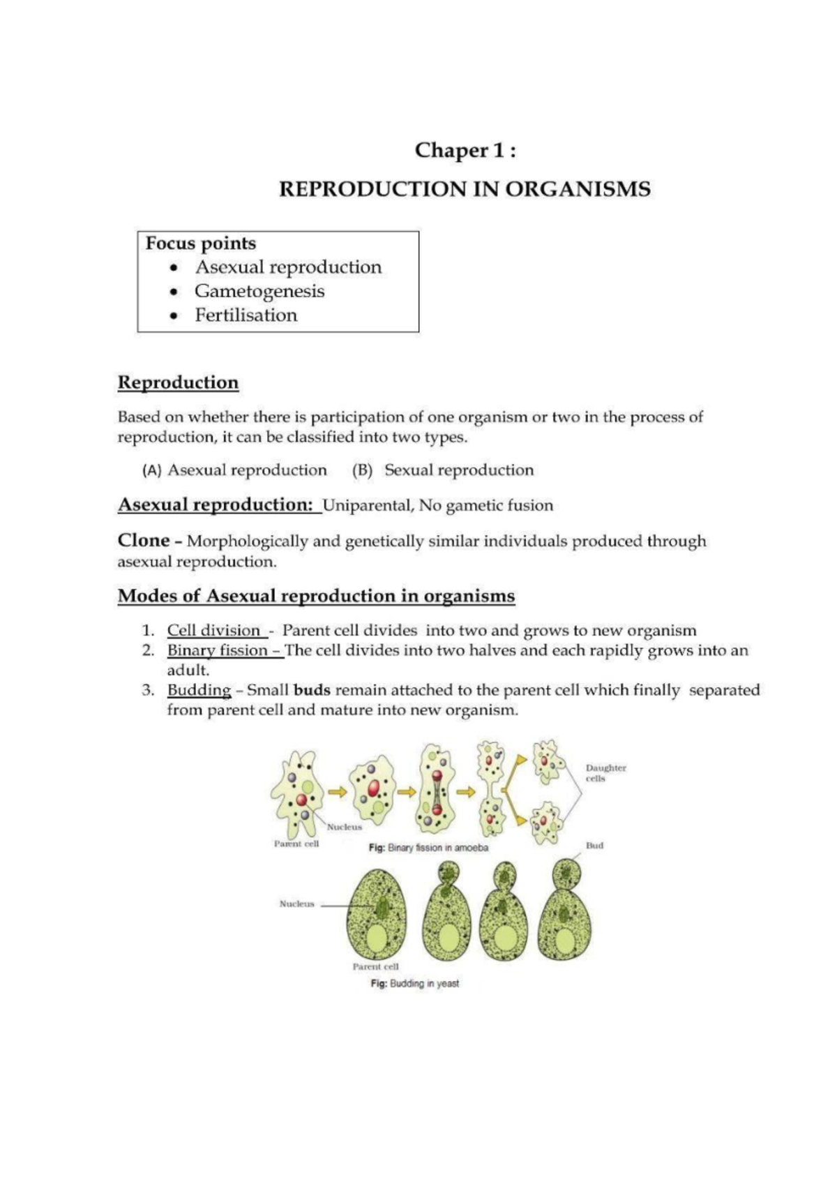 Reproduction in organisms - science - Studocu