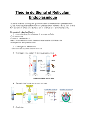 2B2M CR TP Biocell english - Biologie Cellulaire : architecture et ...