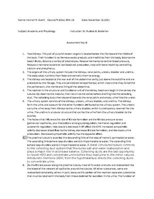 Anaphy 17 - Study Guide. - Name: Hannah R. Aserit Course/Yr.&Sec: BSN ...