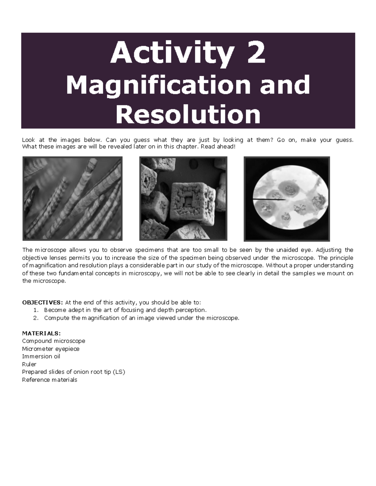 Activity 2 - Kkakakaka,k - Activity 2 Magnification and Resolution Look ...