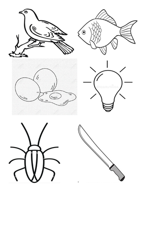 Situation Report Template updated Nov 2014 - Situation Reports (SitReps ...