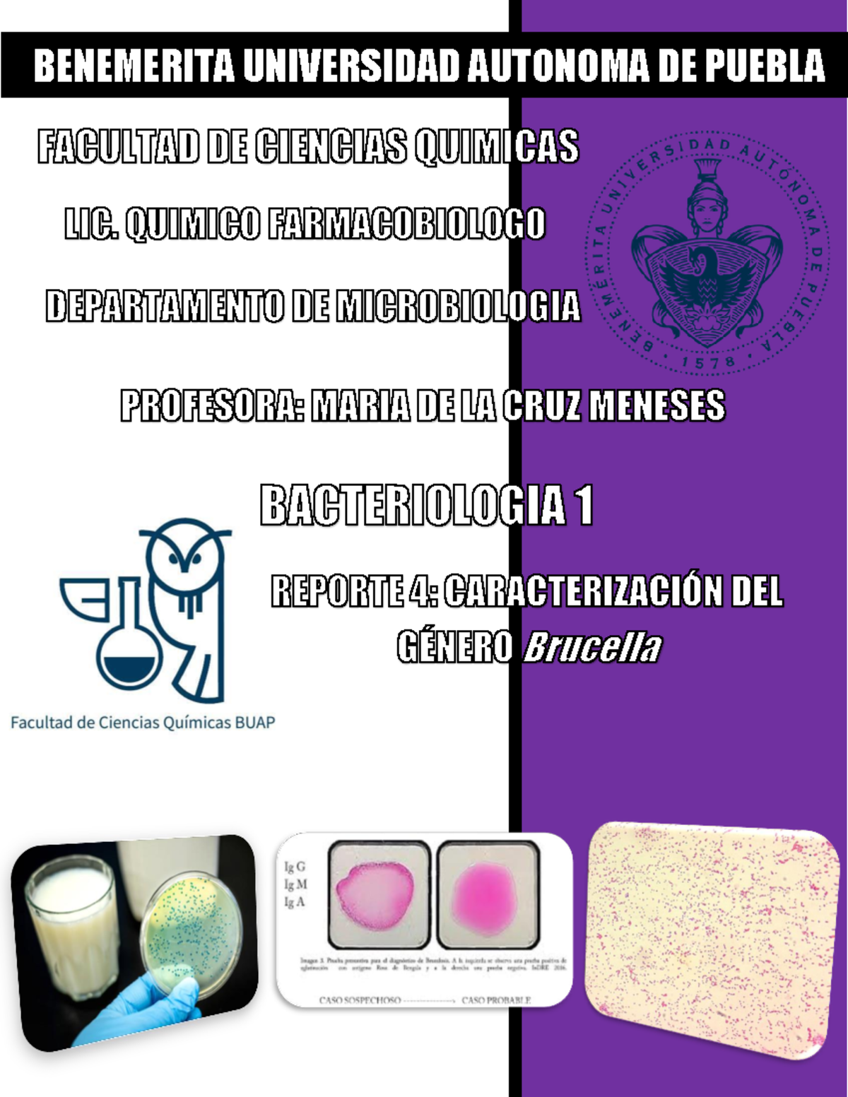Reporte 4 Caracterizacion DEL Genero Brucella - BENEMERITA UNIVERSIDAD AUTONOMA DE PUEBLA ...