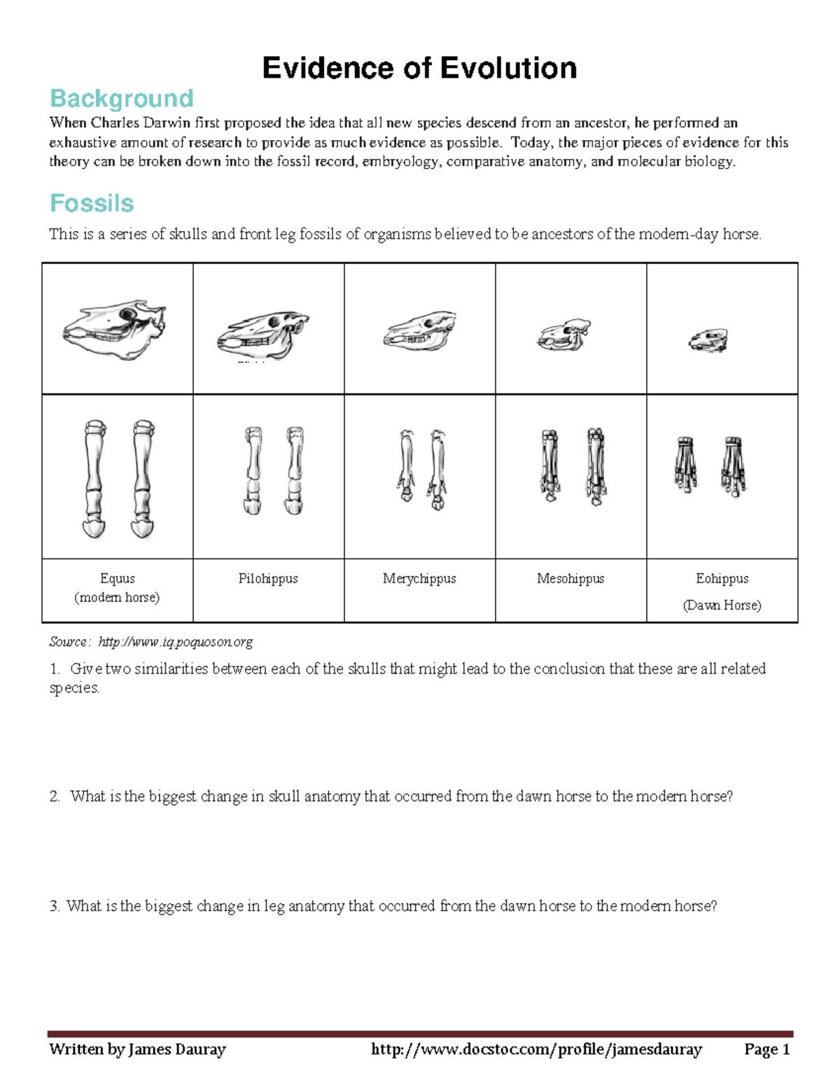 3 Evidence of Evolution Assignment - Written by James Dauray docstoc/profile/jamesdauray Page 1 ...