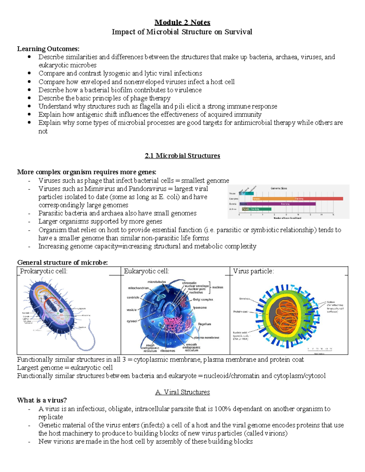 MICR notes - Module 2 Notes Impact of Microbial Structure on Survival ...