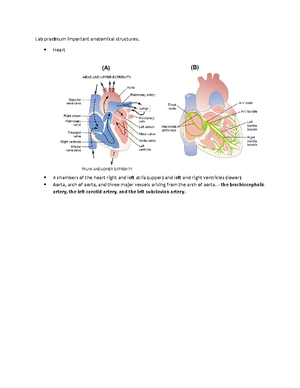NUR6665 Final EXAM - Question 1 The Confusion Assessment Methods ...