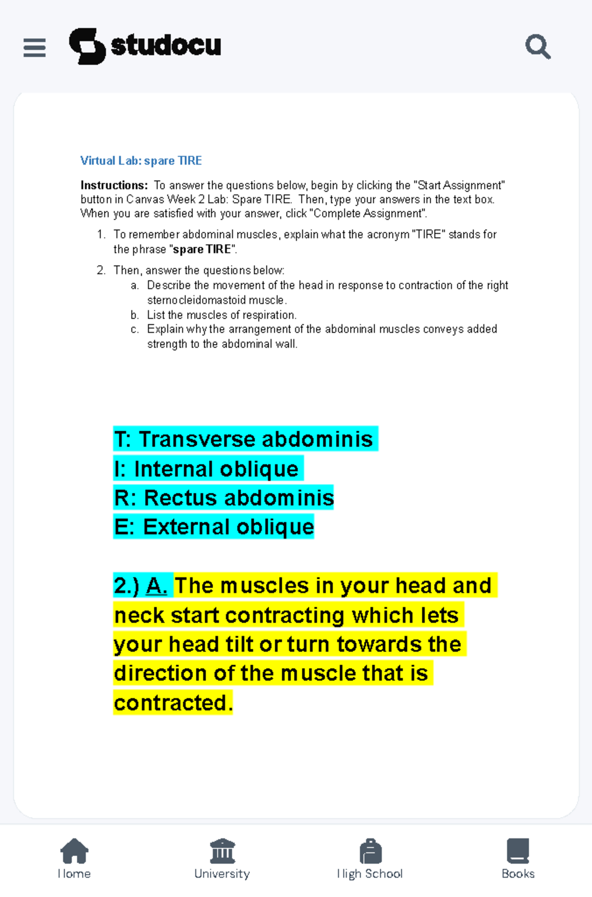 AHP106 week 2 LAB - assignment - Virtual Lab spare TIRE Instructions To ...