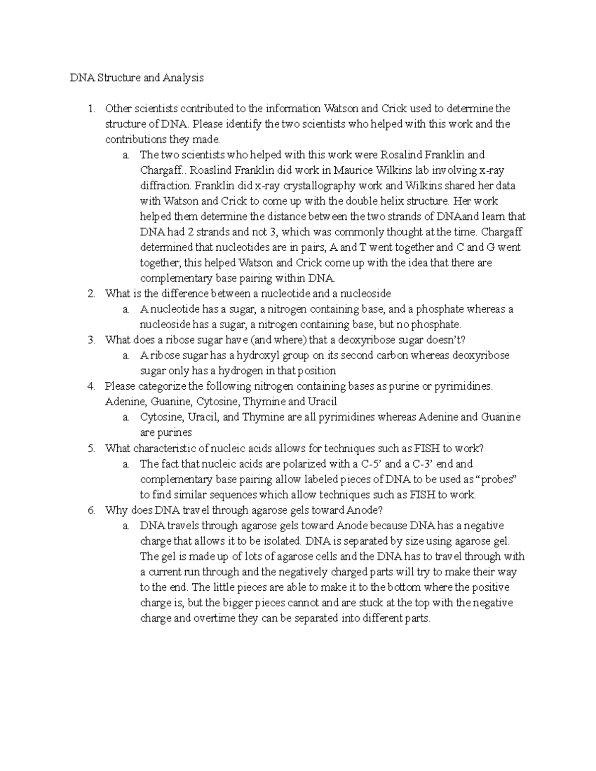 DNA Structure and Analysis Review Questions - DNA Structure and ...