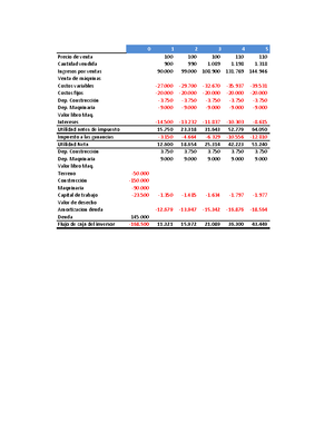 Formulacion y evaluacion de proyectos - Siglo 21 - Studocu