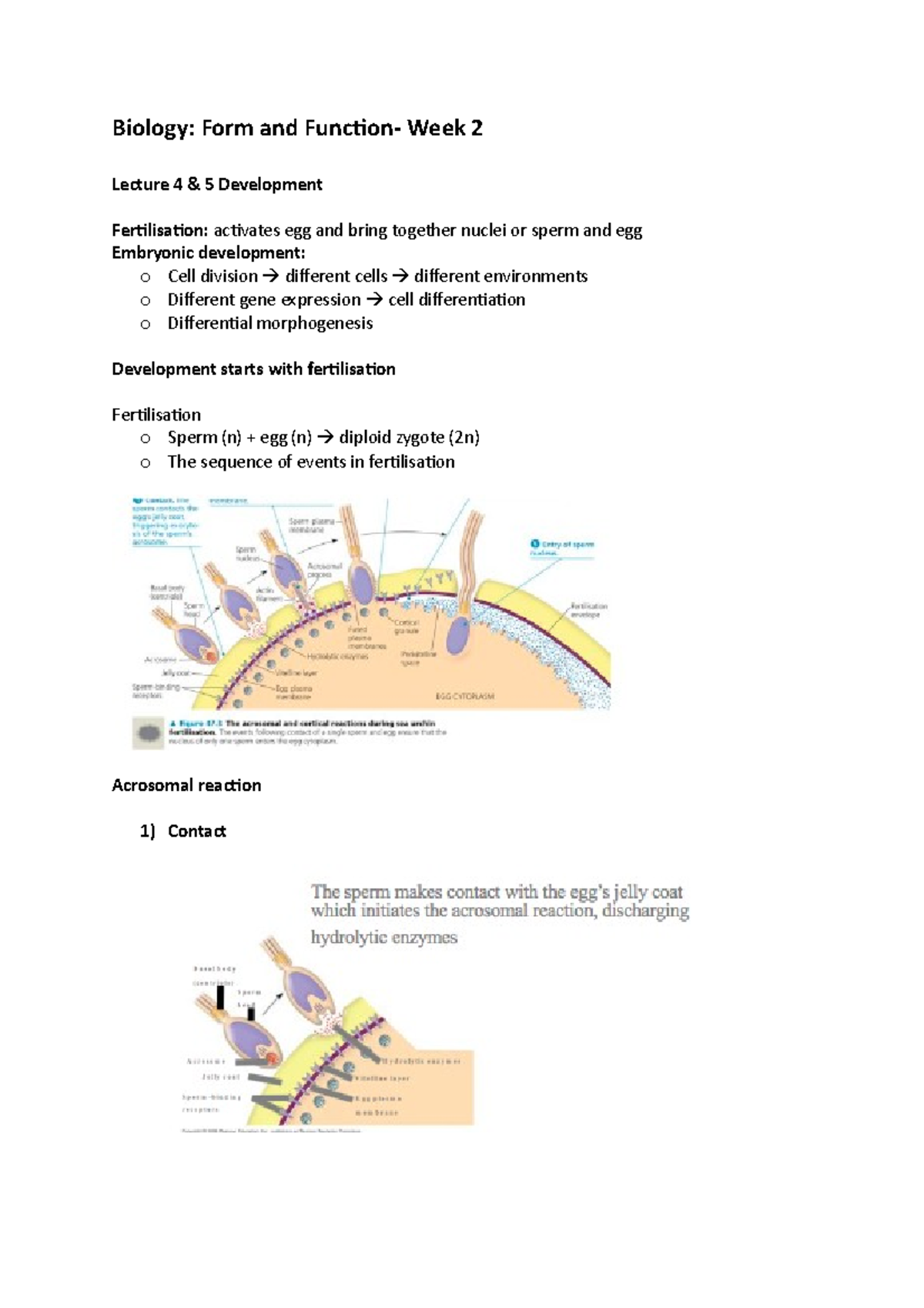 Biology Week 2 - Lecture notes Week 2 - Biology: Form and Week 2 ...